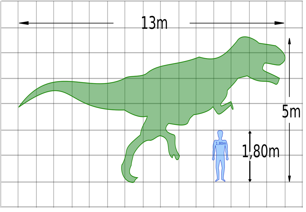 Paleontologer: T. rex kan ha vært enda mer fryktinngytende enn antatt ...