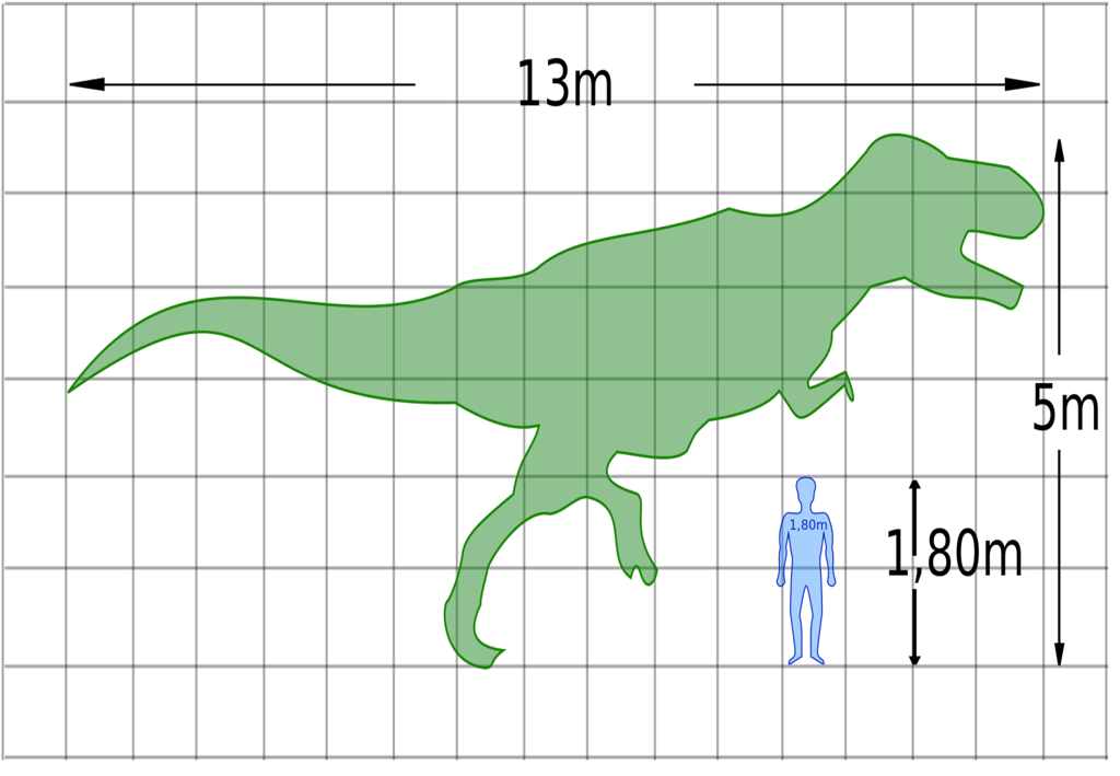 Paleontologen: T. rex was mogelijk nog angstaanjagender dan gedacht ...