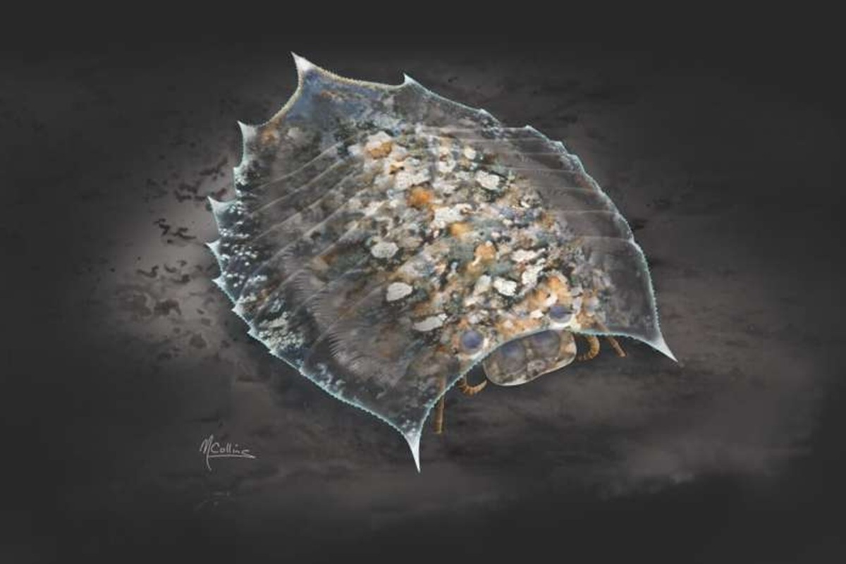 Discoverd 100 years ago: researchers finally solve the mystery of the ...