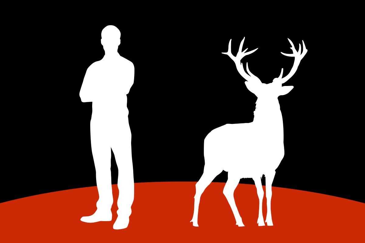 From Red Planet to Green Oasis: five steps to make Mars habitable ...