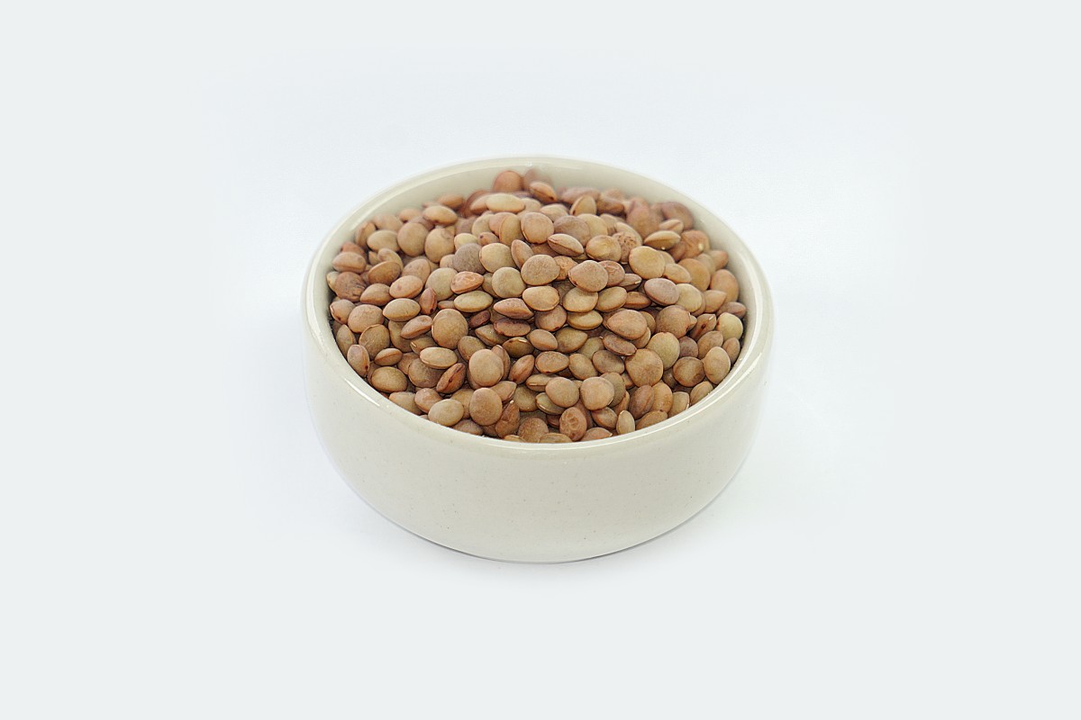 6 parasta kuidun lähdettä | tieku.fi