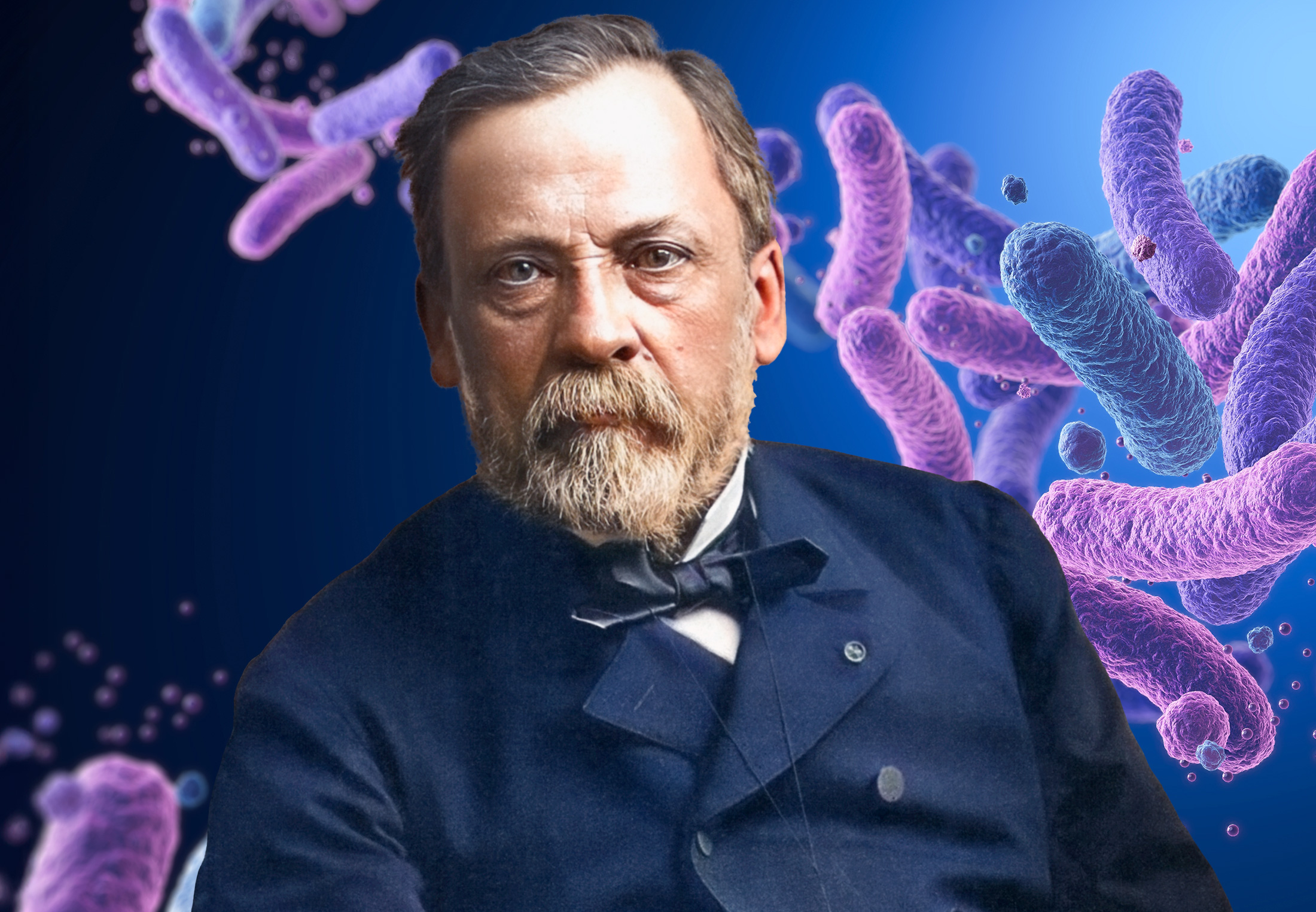 Louis Pasteur - mikrobiolog og kemiker | illvid.dk