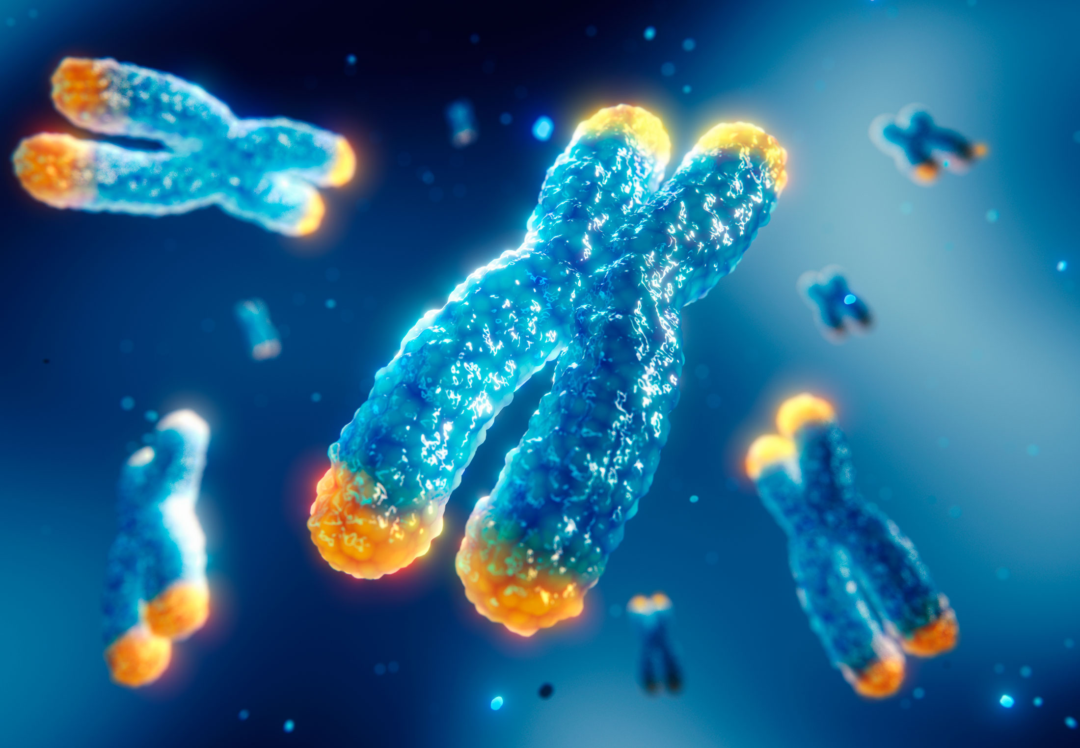 Humans | scienceillustrated.com