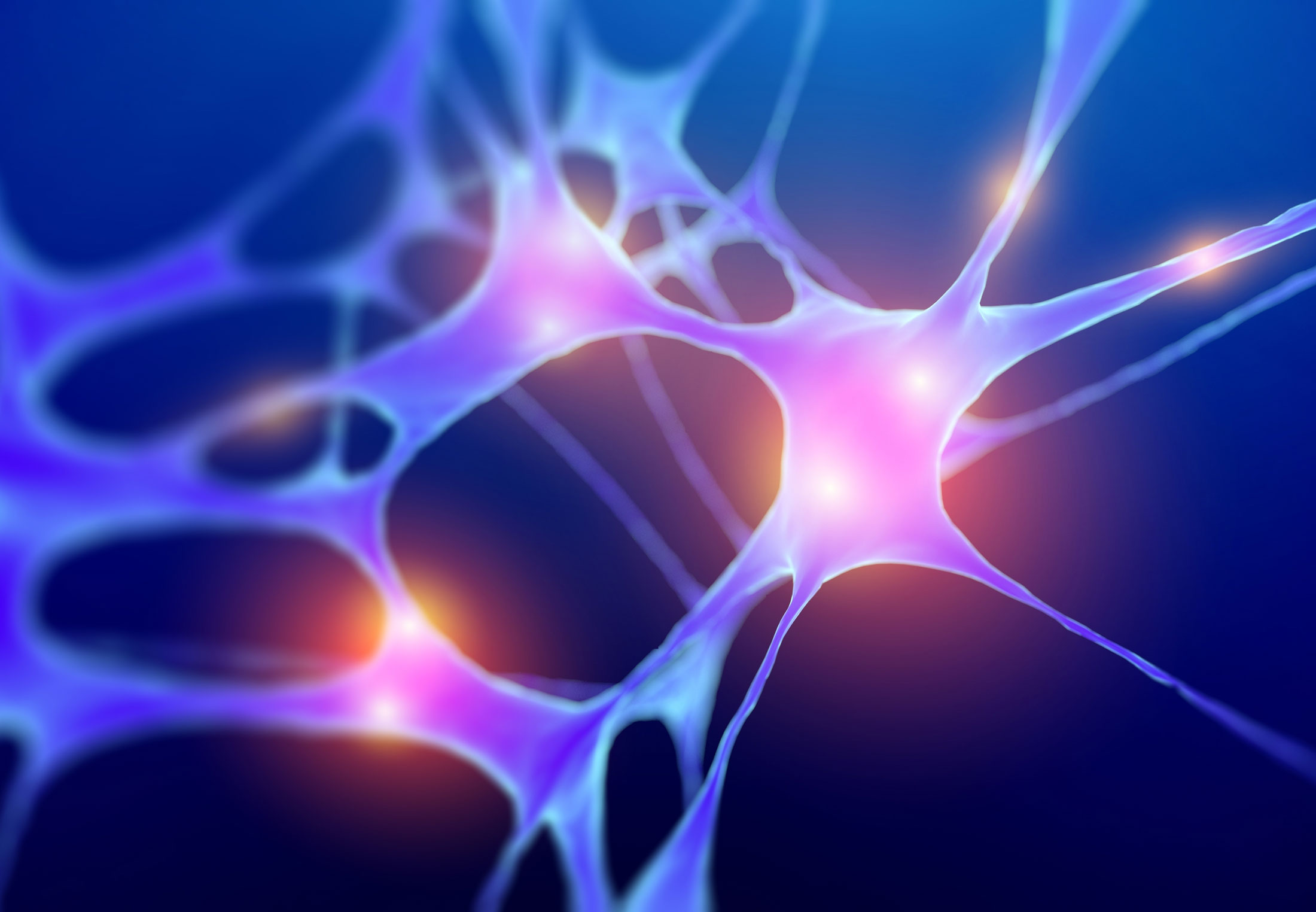 Humans | scienceillustrated.com