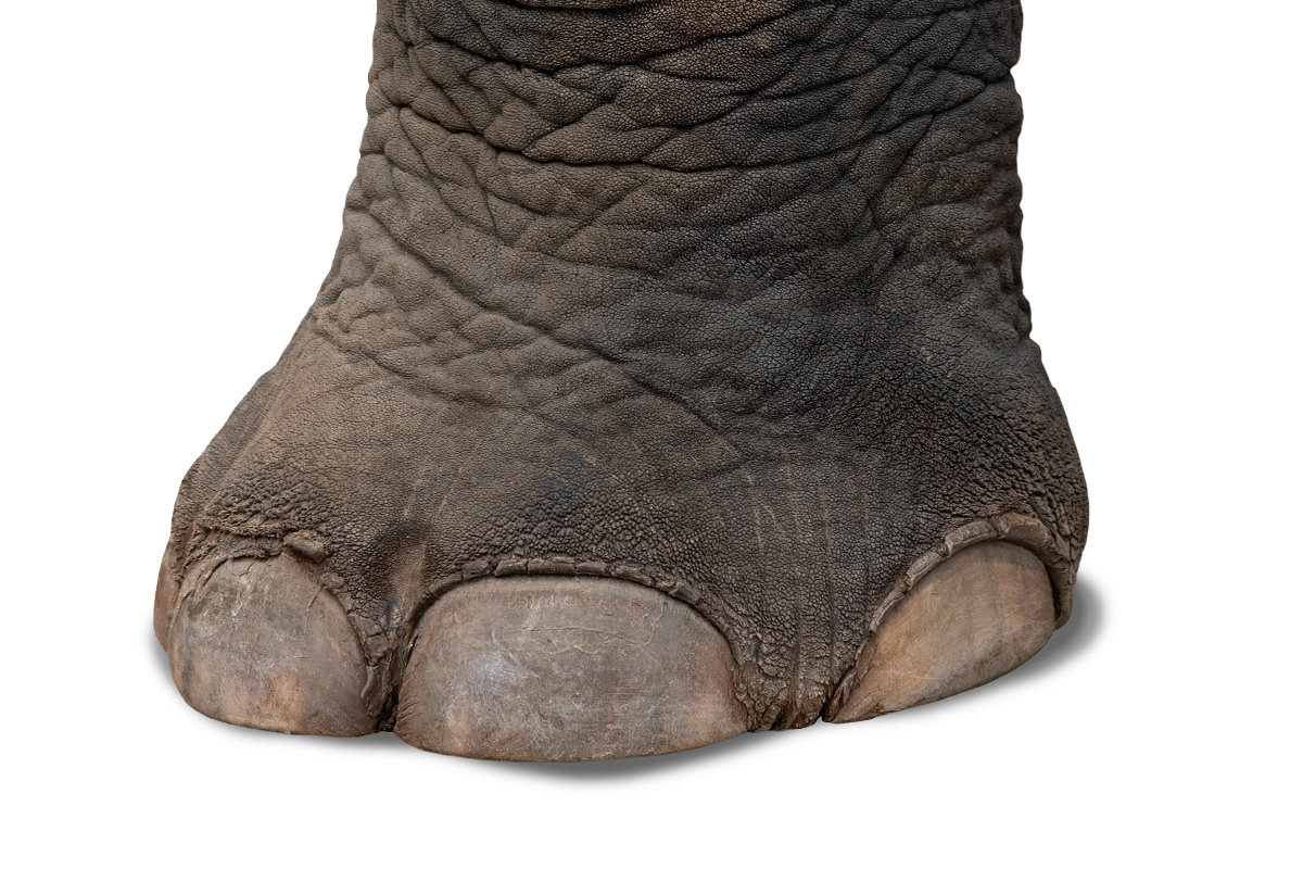 Tryck håller kroppen i form och ger fint väder i helgen | illvet.se