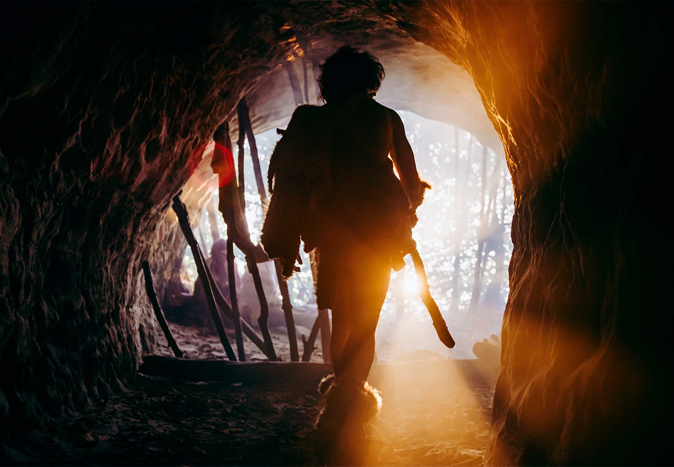 Mennesket | illvid.dk