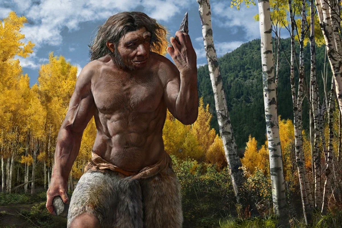 Researchers reexamine mysterious skull: now we finally know what a ...