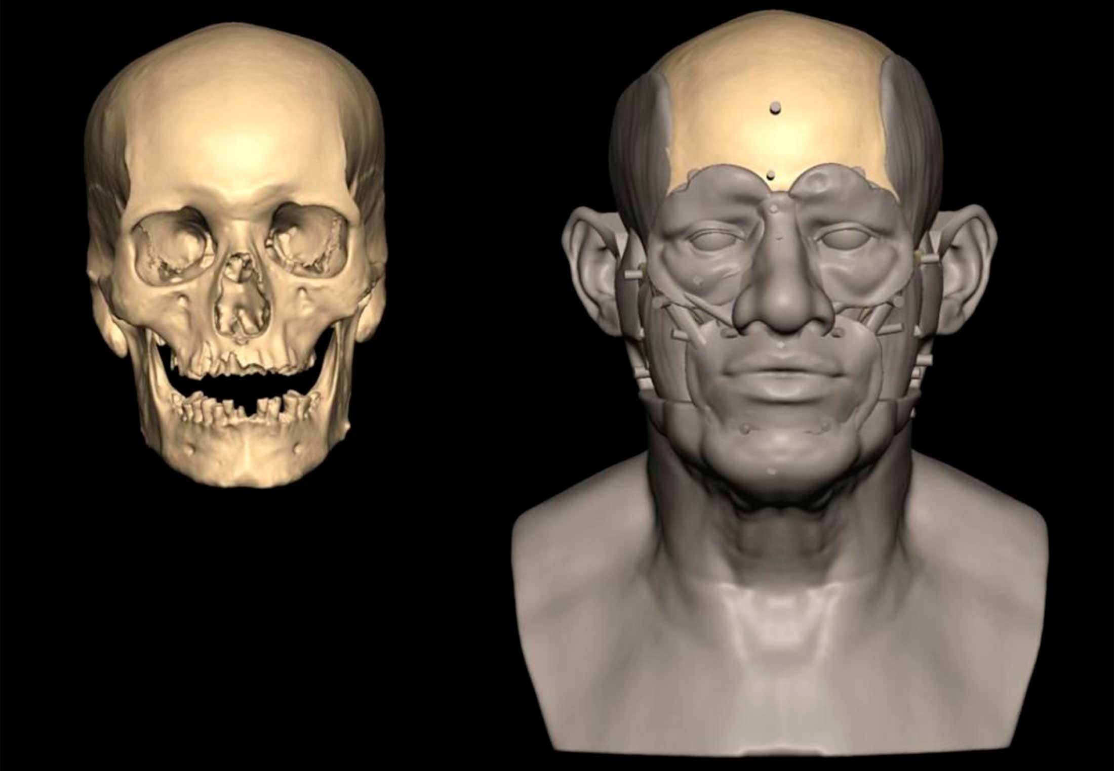 Humans | scienceillustrated.com