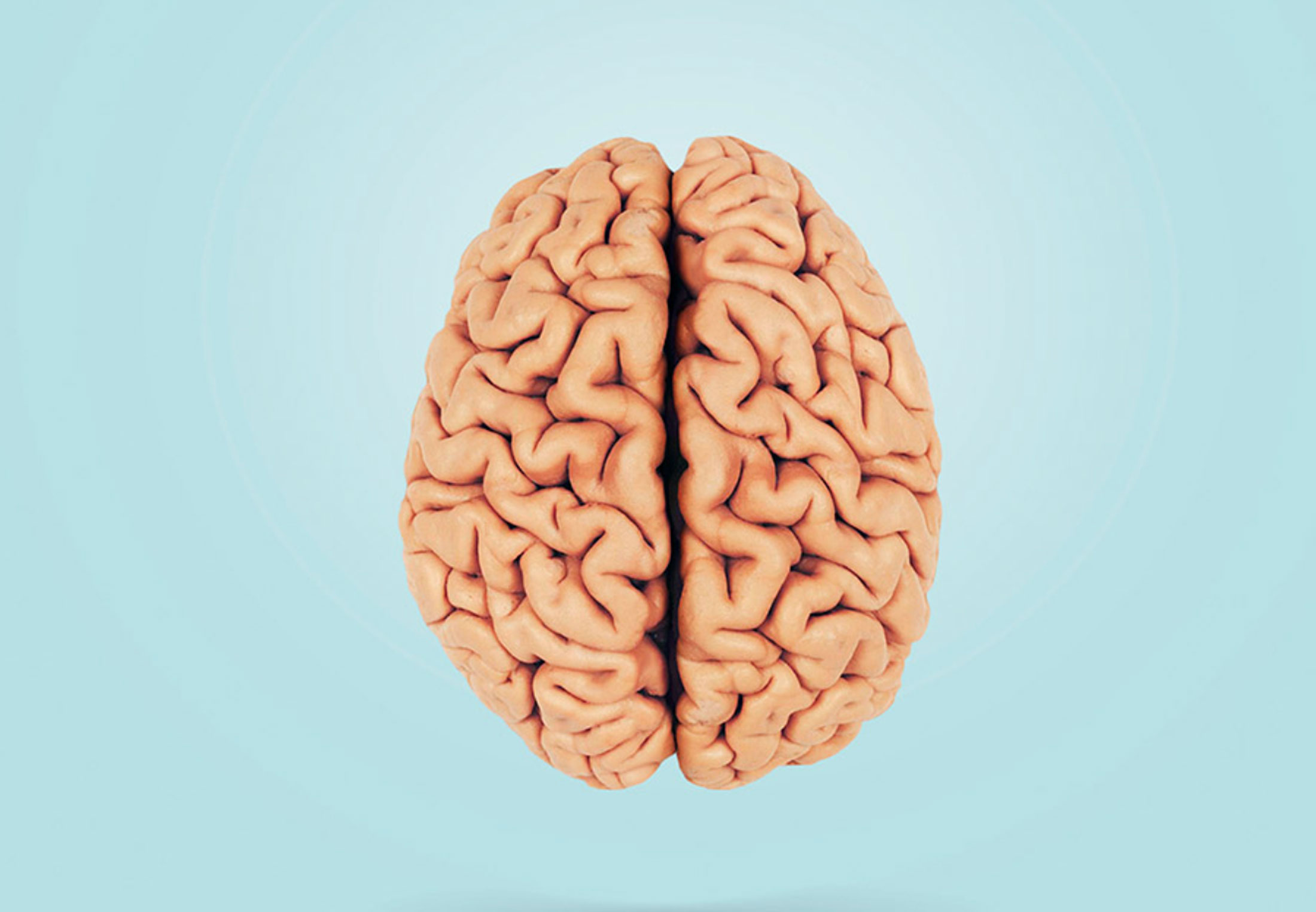 Humans | scienceillustrated.com