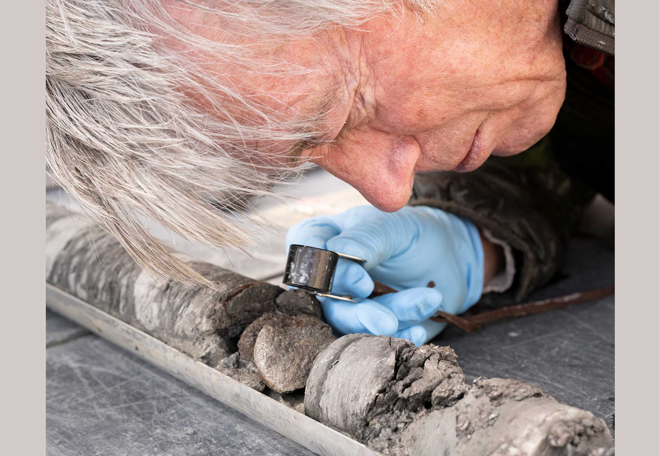 Researchers are excited about dinosaur discovery 232 m below the ground ...