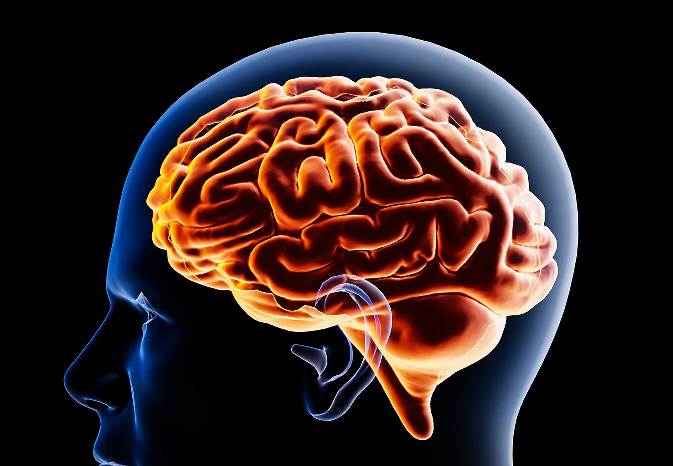 Humans | scienceillustrated.com