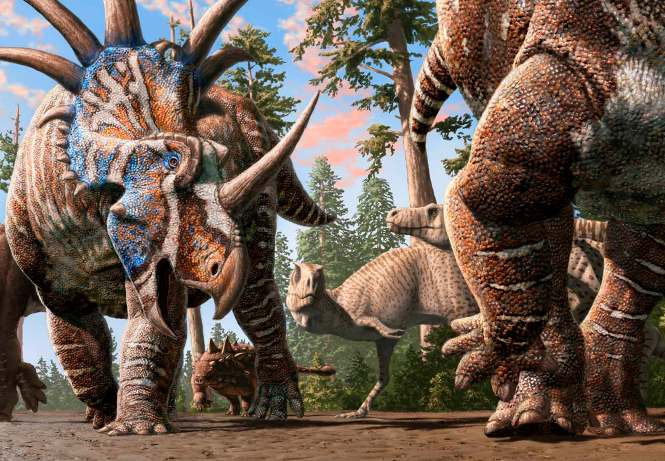 Sensational discovery: 76-million-year-old find in park could change our understanding of the ...