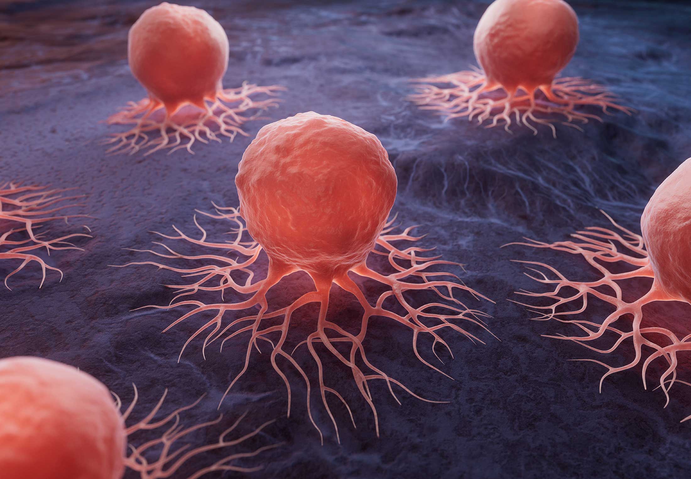 New study: popular drink might reduce your risk of premature death from ...