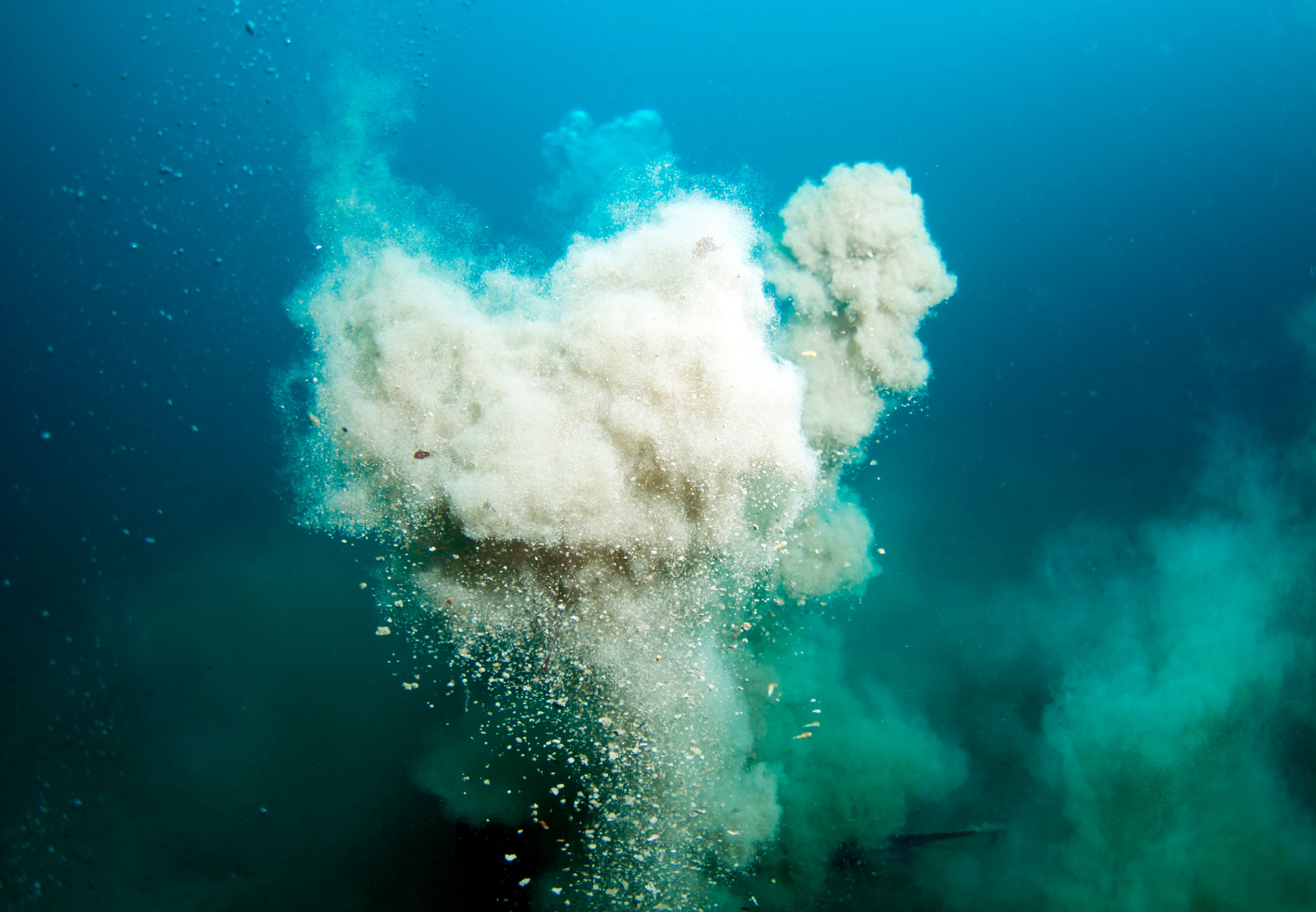 Nature | scienceillustrated.com