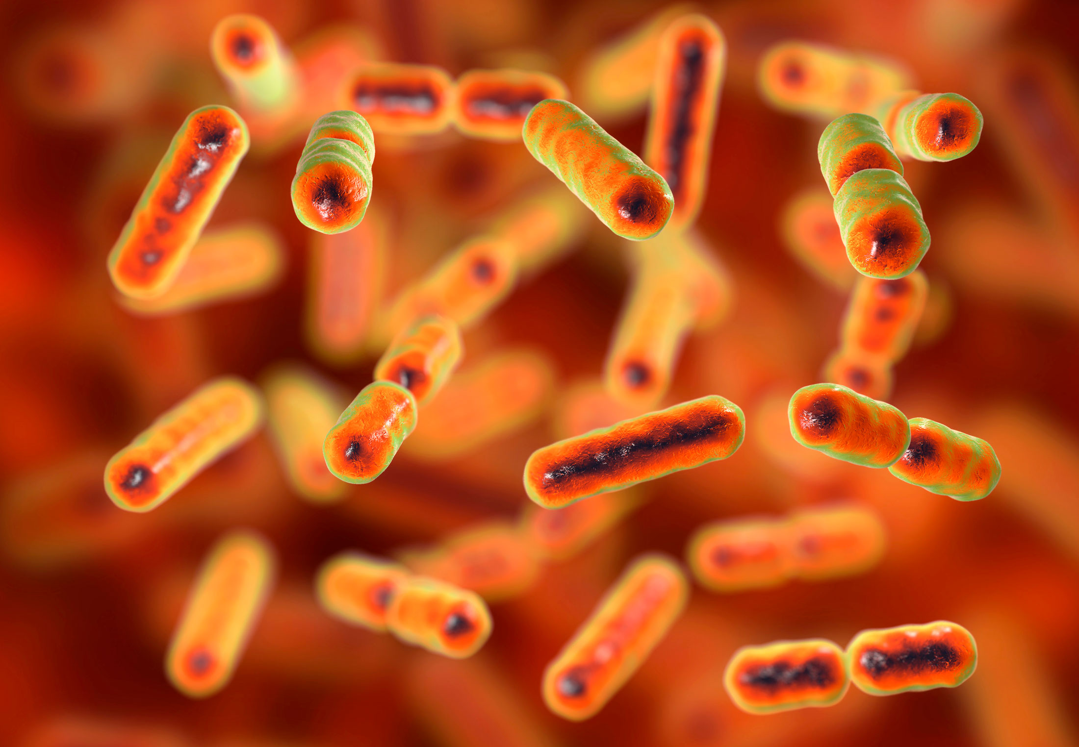 Gezondheid – wat is gezondheid? | wibnet.nl