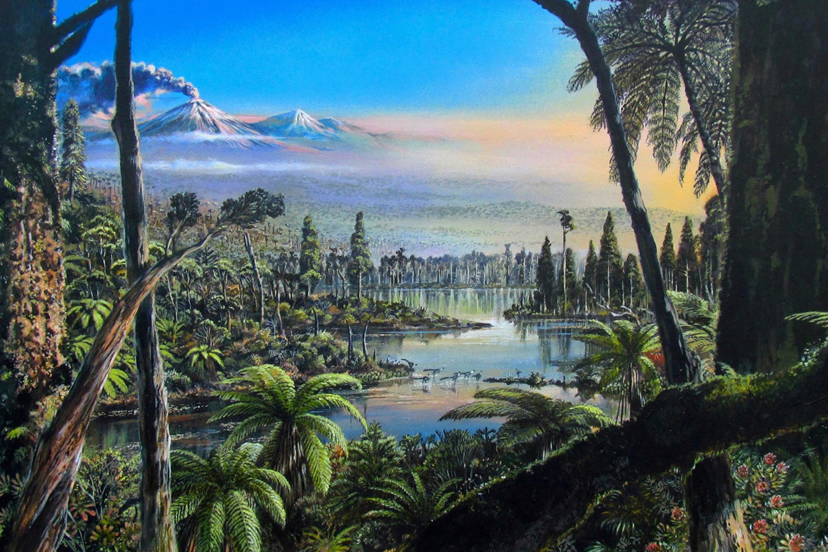 Antarctic mystery: deep caves conceal a hidden world of life ...