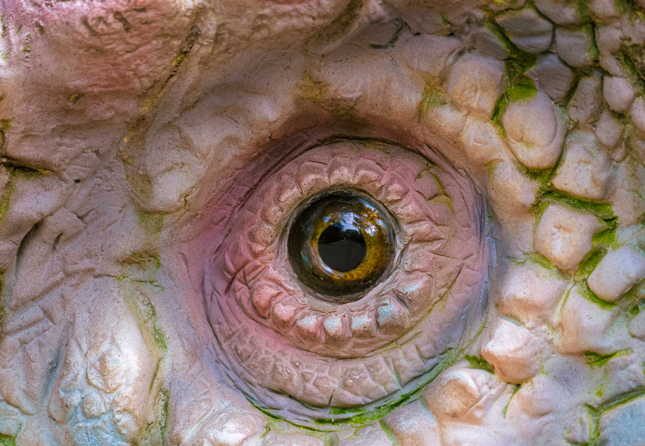 Nature | scienceillustrated.com