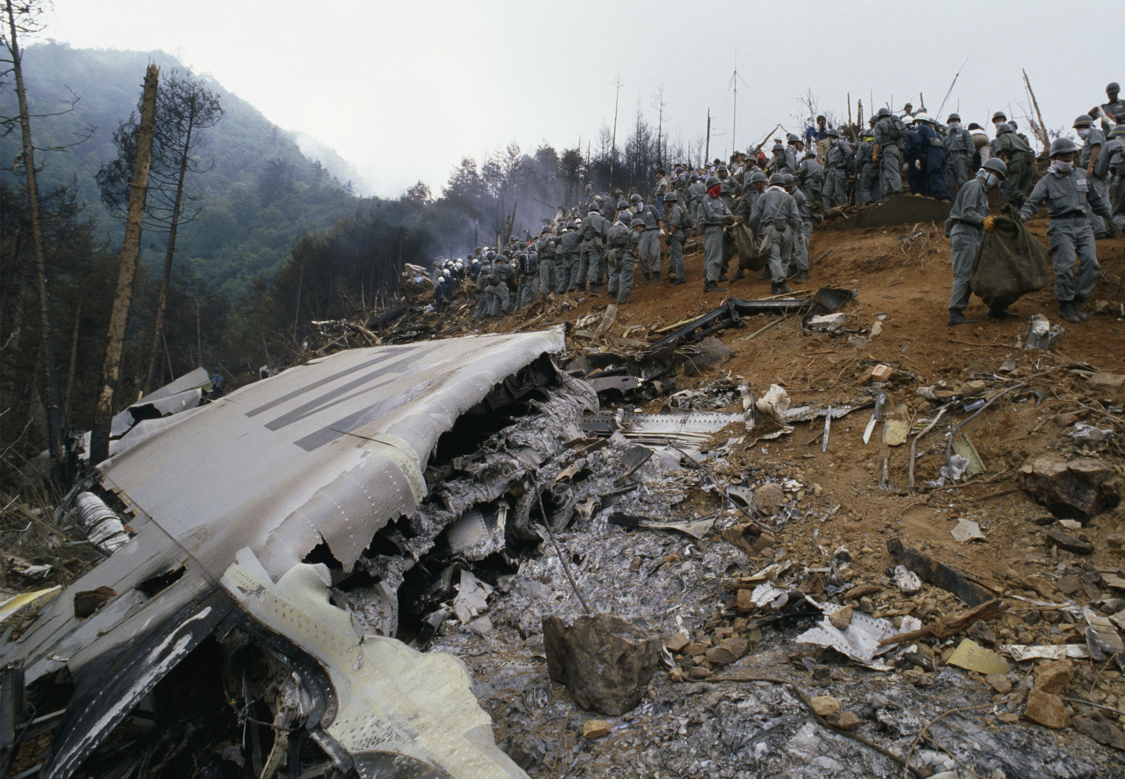 Forskere undersøgte 14.000 år gammel ulveunge fra Sibiriens permafrost ...