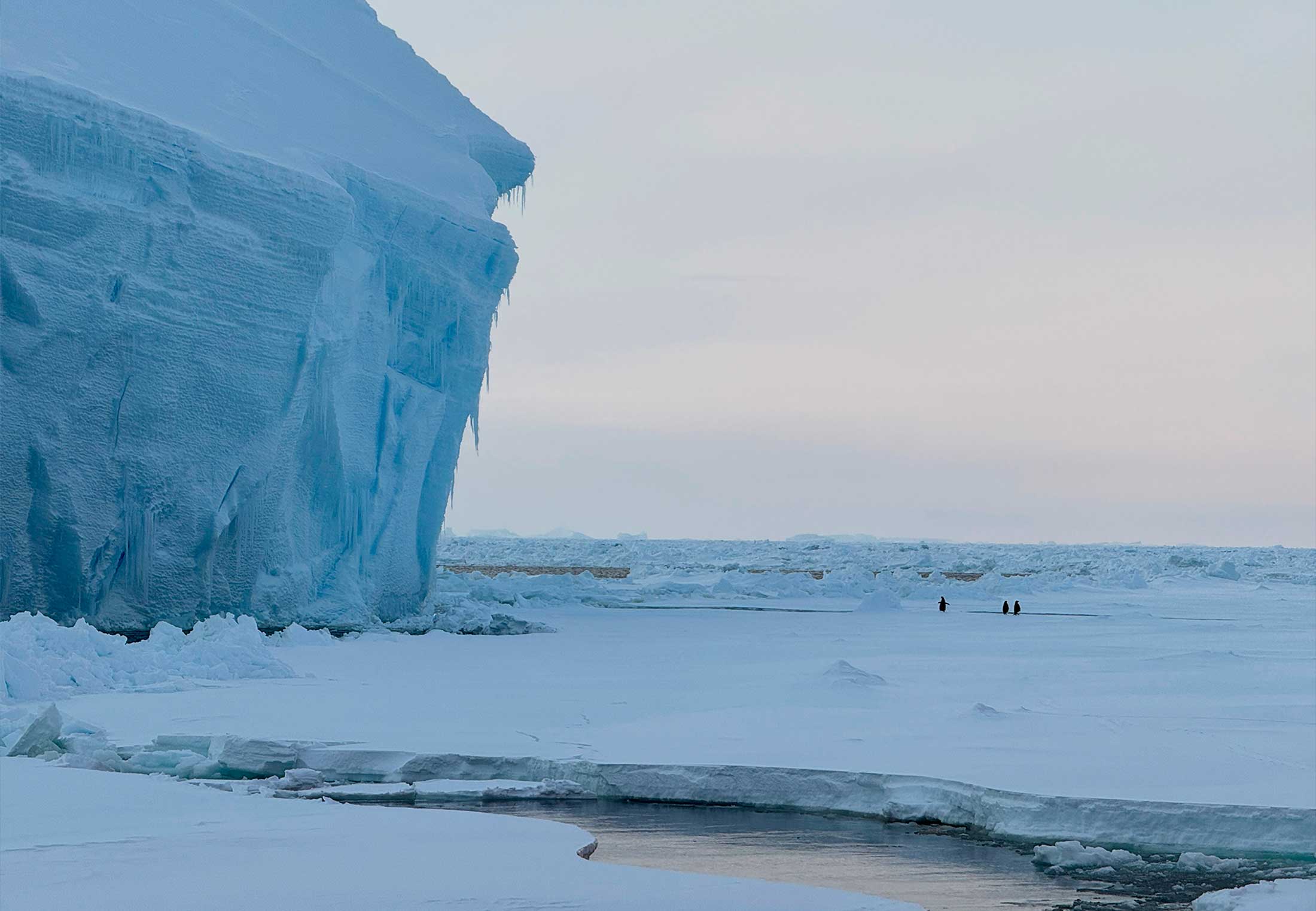 Antarctica – het ijs smelt door wind uit het noorden | wibnet.nl