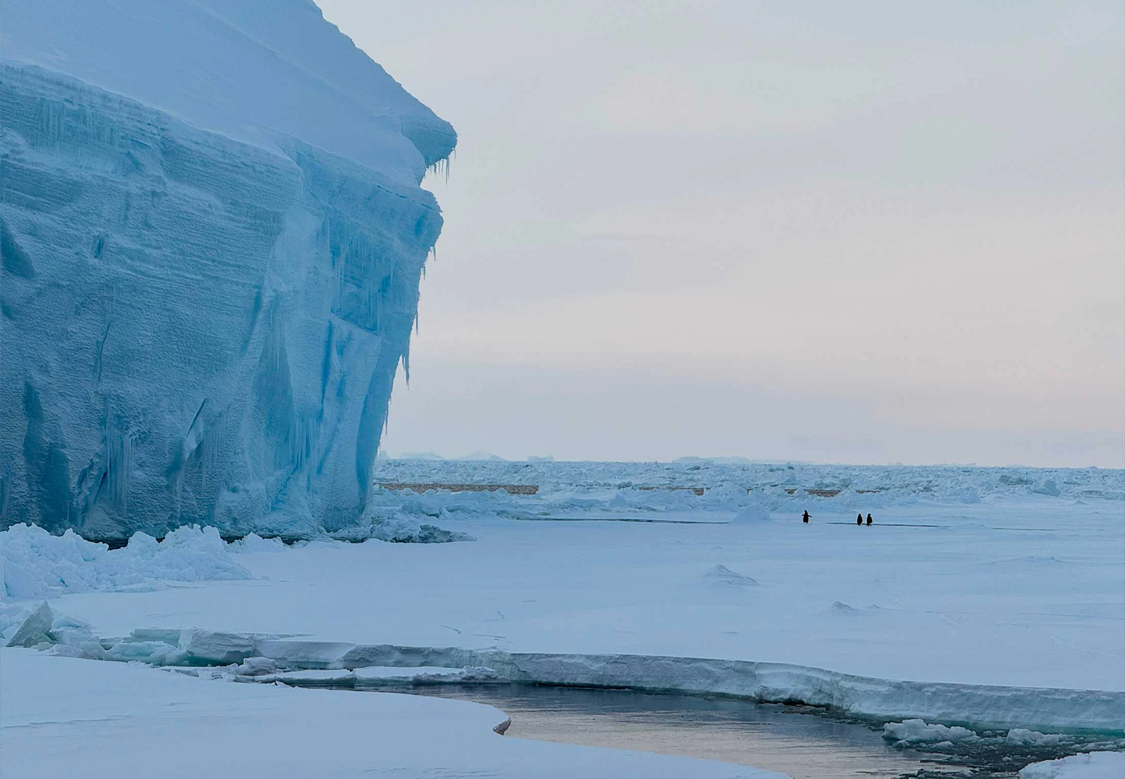 Antarctica – het ijs smelt door wind uit het noorden | wibnet.nl