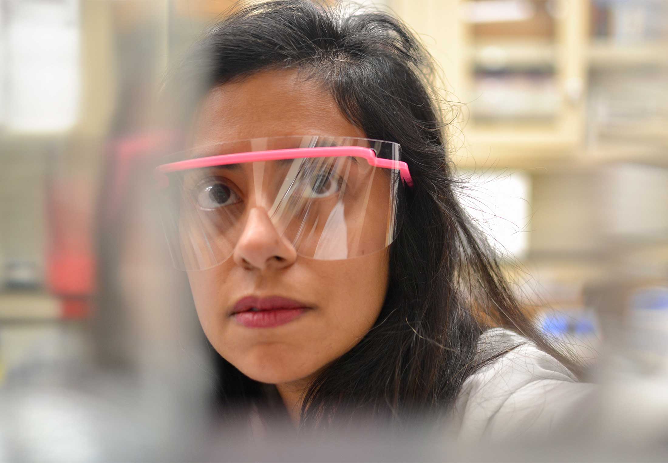 Humans | scienceillustrated.com