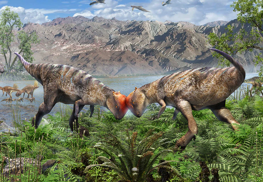 Dinosaurusvondst Werpt Licht Op Bijzondere Groep Dinosauri rs Wibnet nl dinosaurusvondst-werpt-licht-op-bijzondere-groep-dinosauri-rs-wibnet-nl