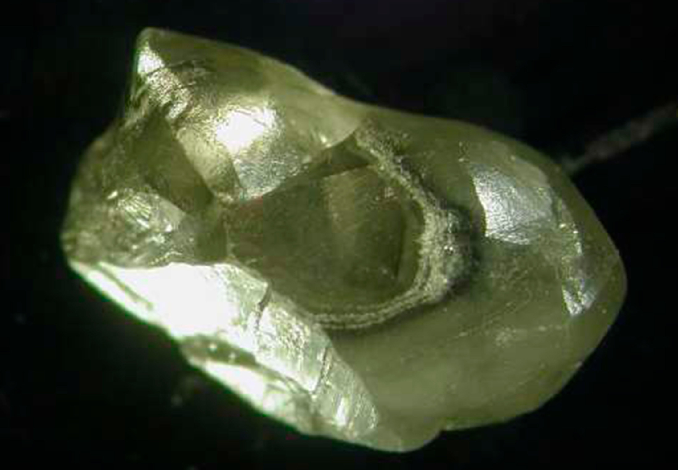 Nature | scienceillustrated.com