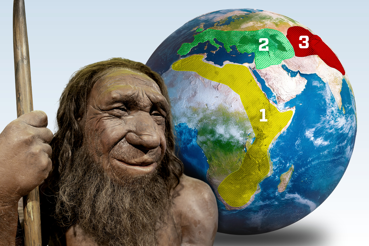 Uppseendeväckande fynd i neandertalkranium: Avlivar en av de största ...