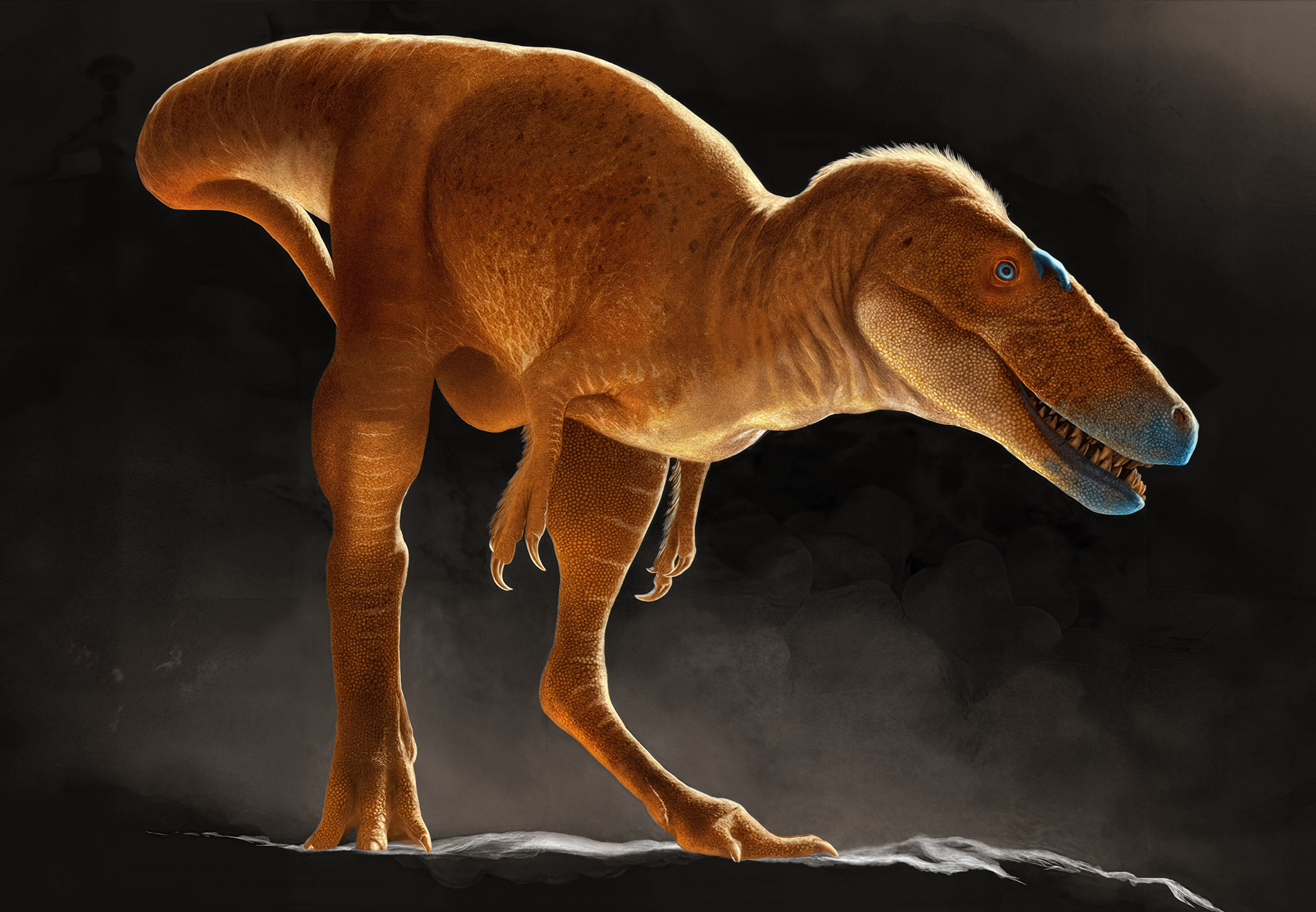 Newly discovered species solves decades-old mystery about T. rex origin ...