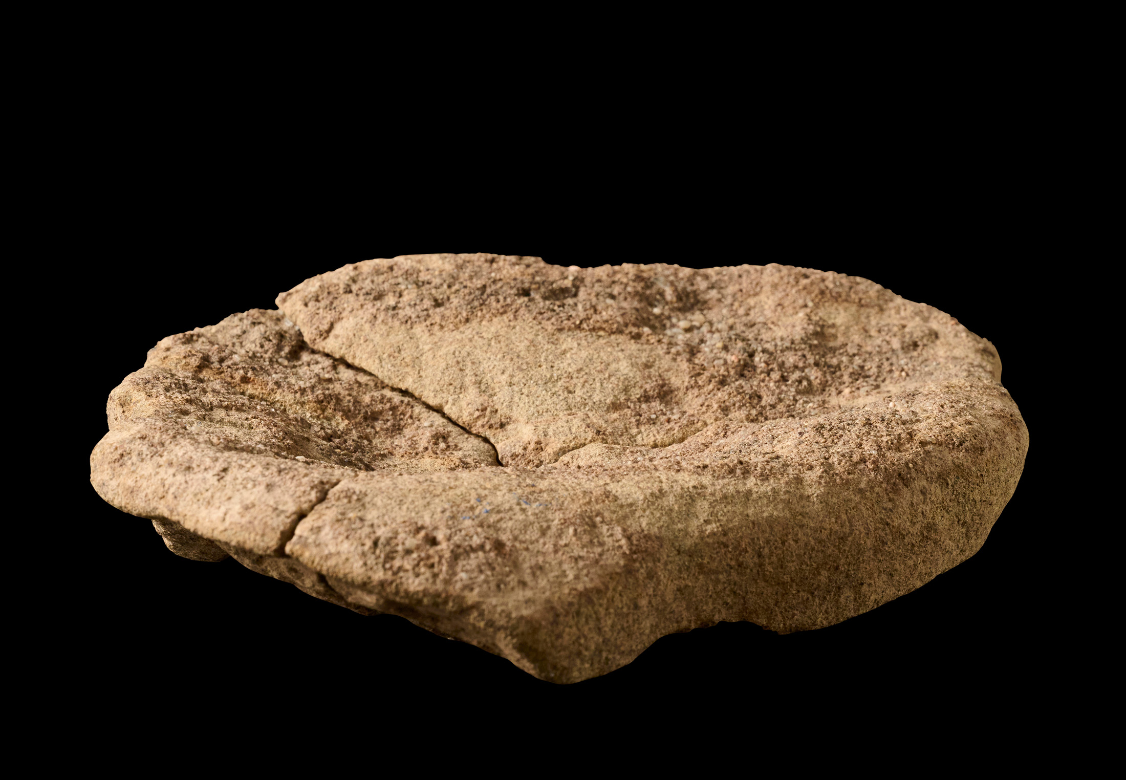 Humans | scienceillustrated.com