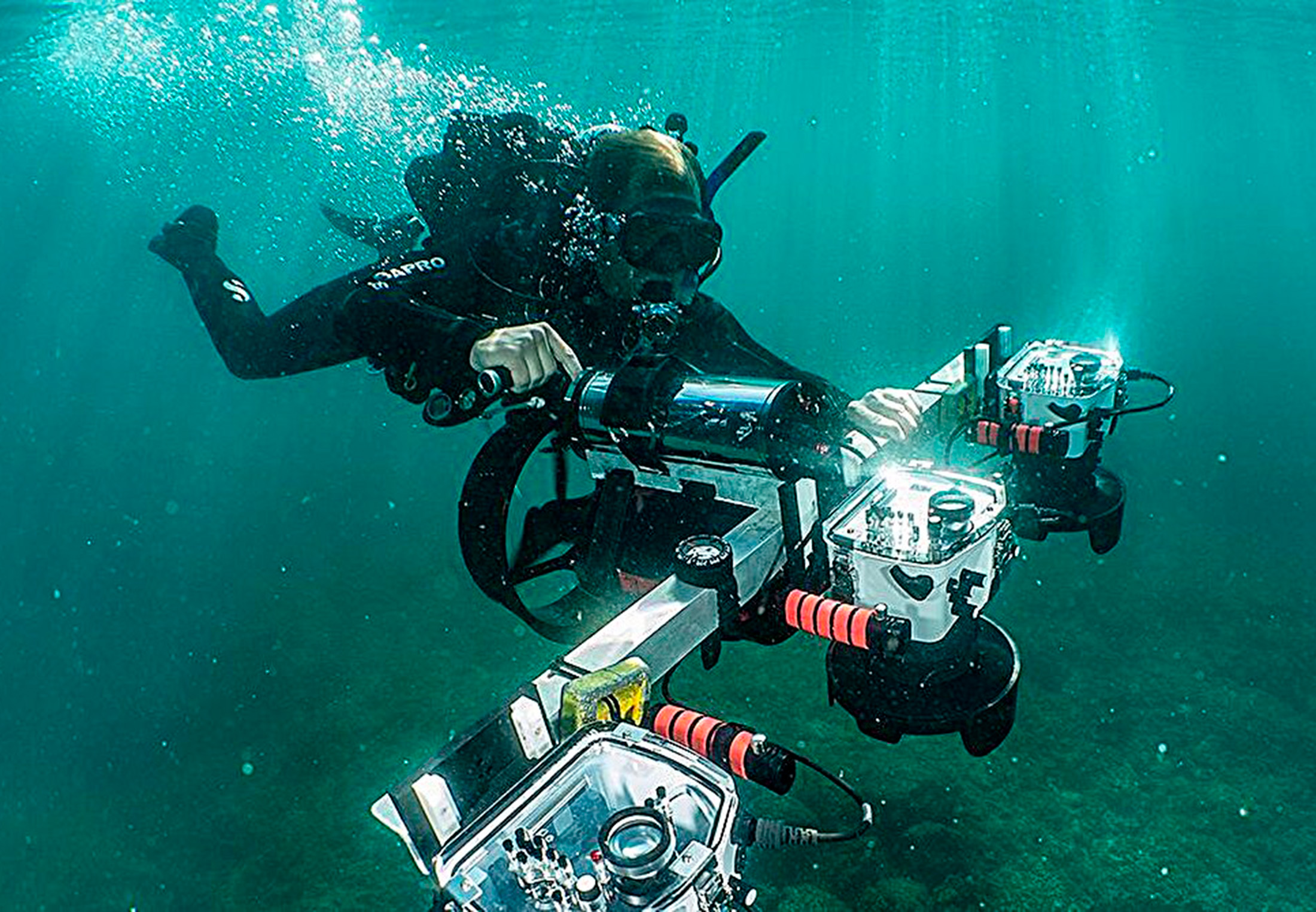 Mennesket | illvid.dk