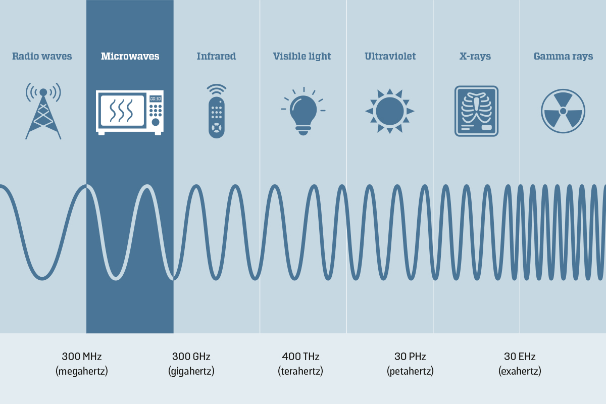 A chocolate-loving engineer was updating a weapons system – and ...