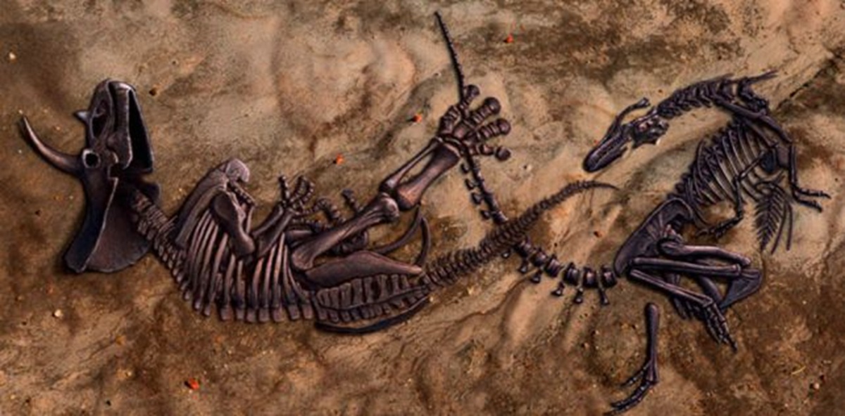 Den lille tyran der væltede T. rex: Ny art ændrer dinosaurforskningen ...