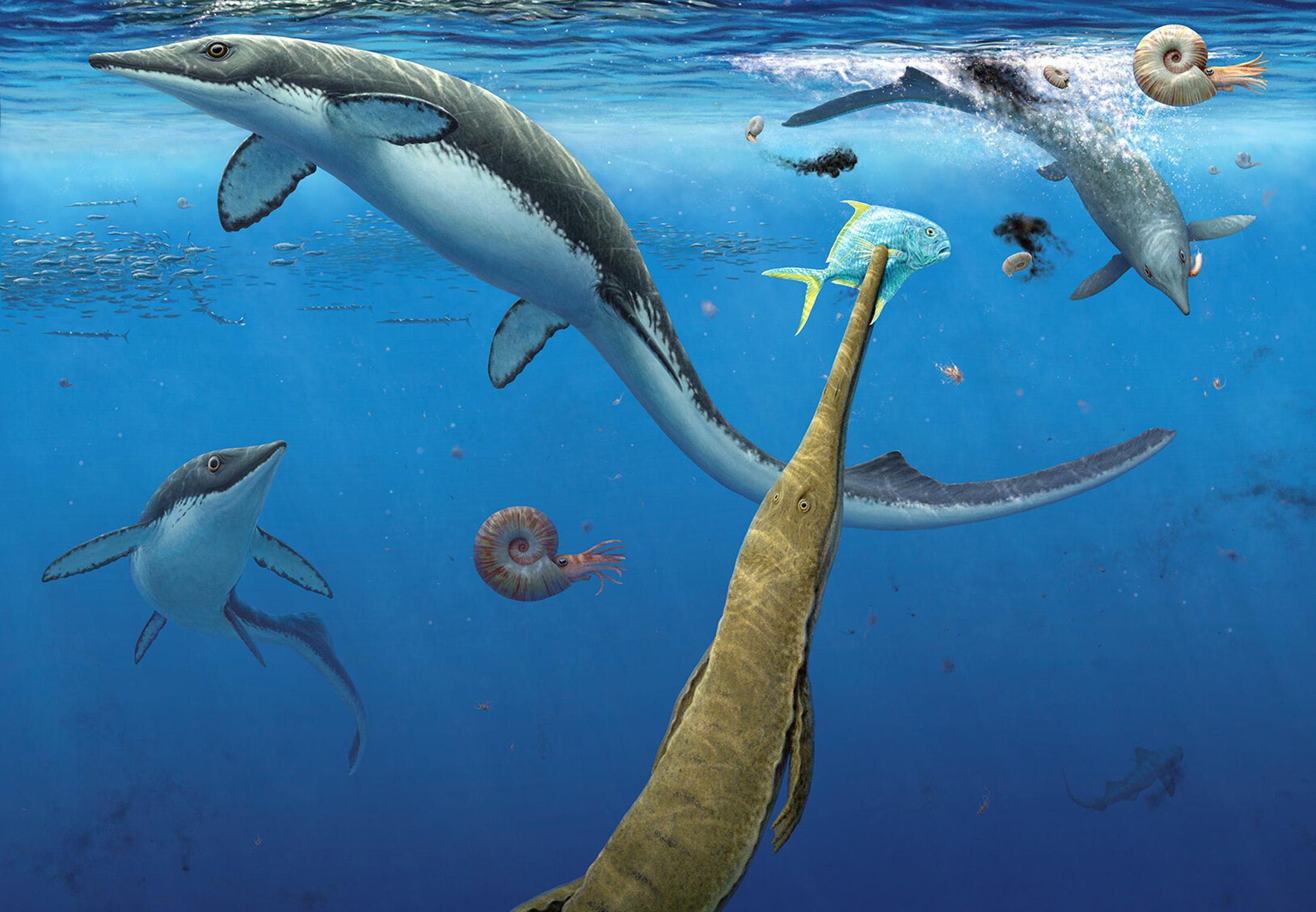 30,000 fossils were hidden on a remote island. Now they reveal secrets ...