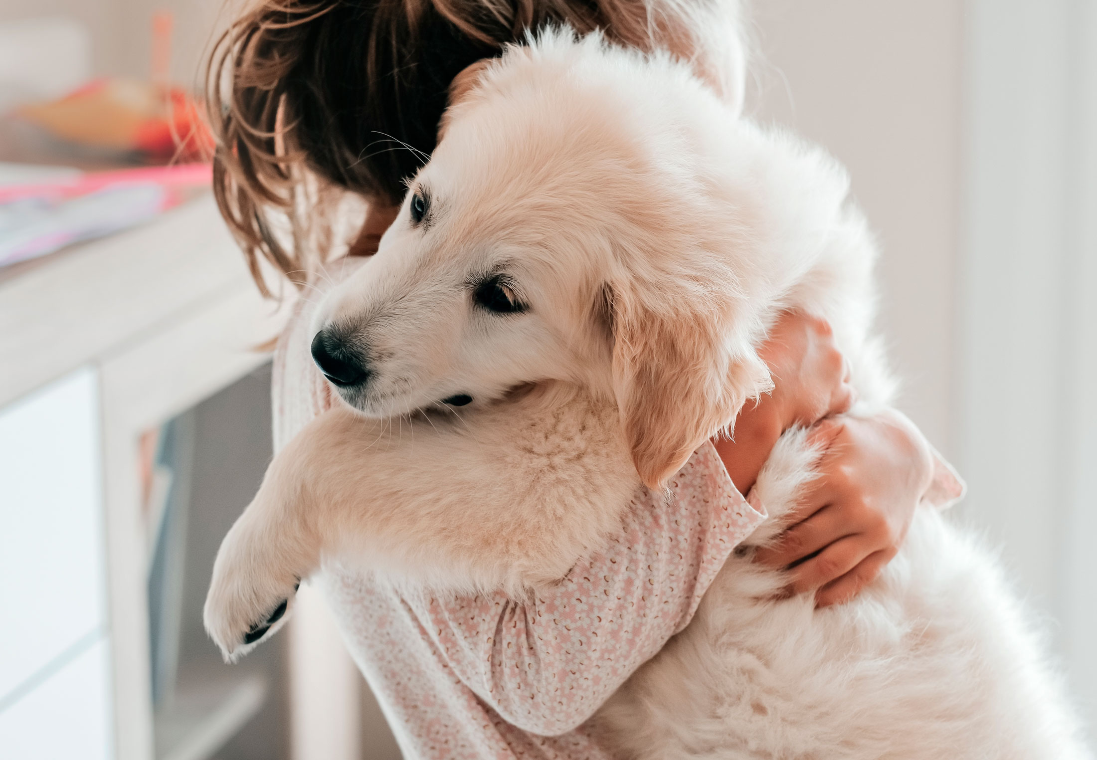 Mennesket | illvit.no