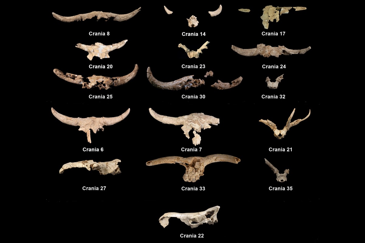 Mysterious discoveries in cave point to enigmatic ritual among ...