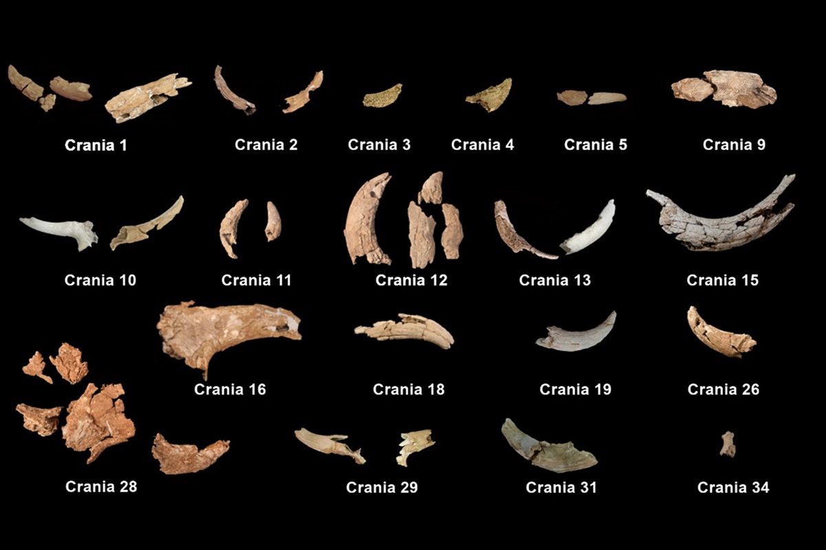 Mysterious discoveries in cave point to enigmatic ritual among ...
