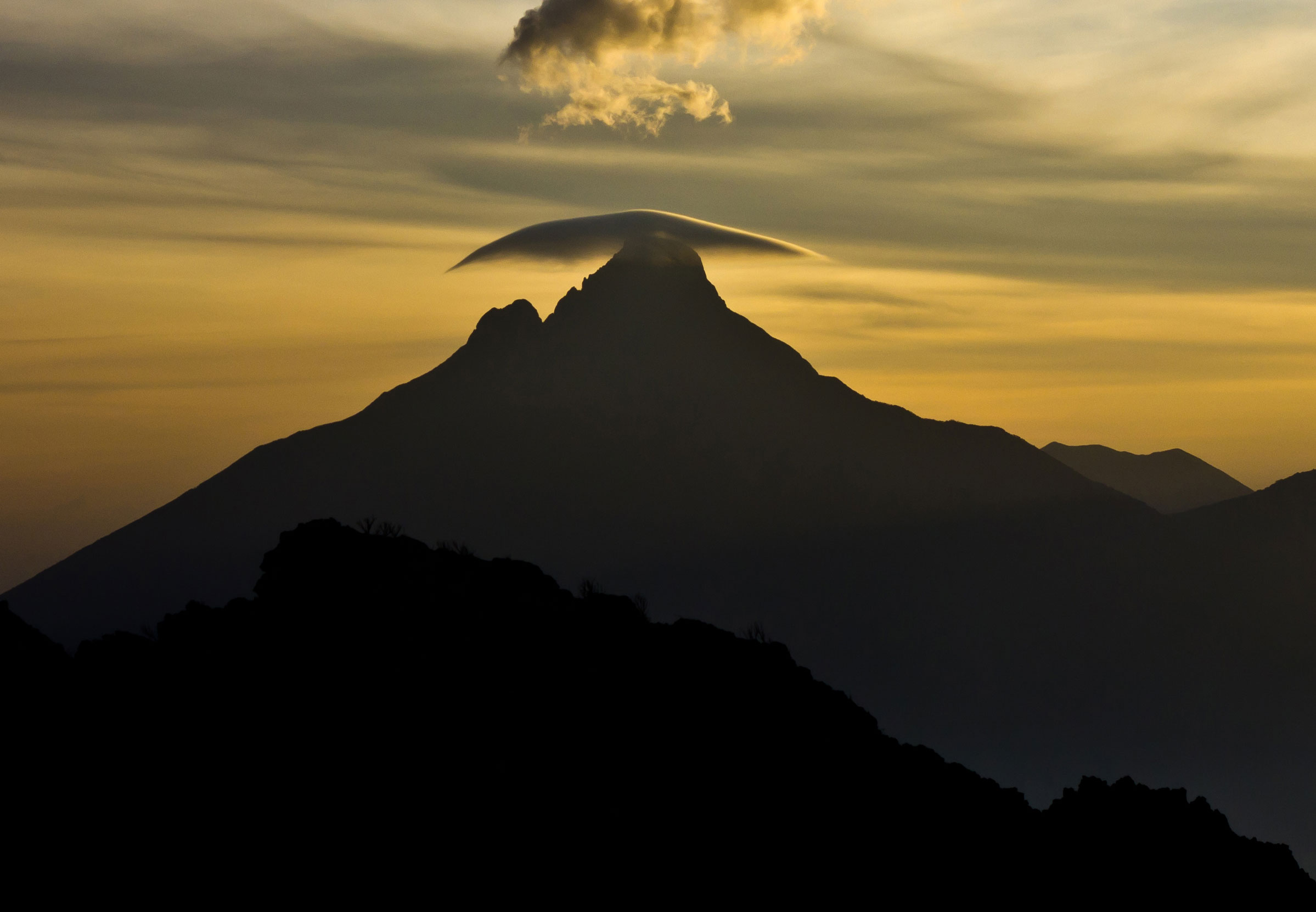 See the photo: deep in the rainforest, something very rare has been ...