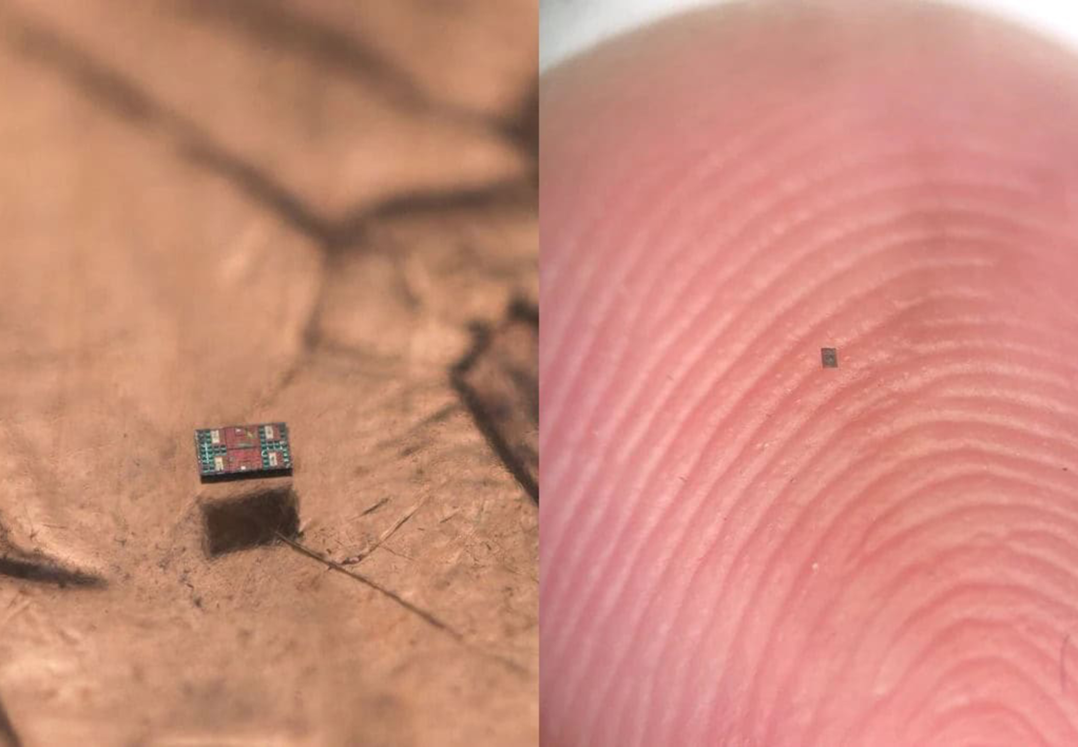 Researchers develop the world's smallest robots — which could ...