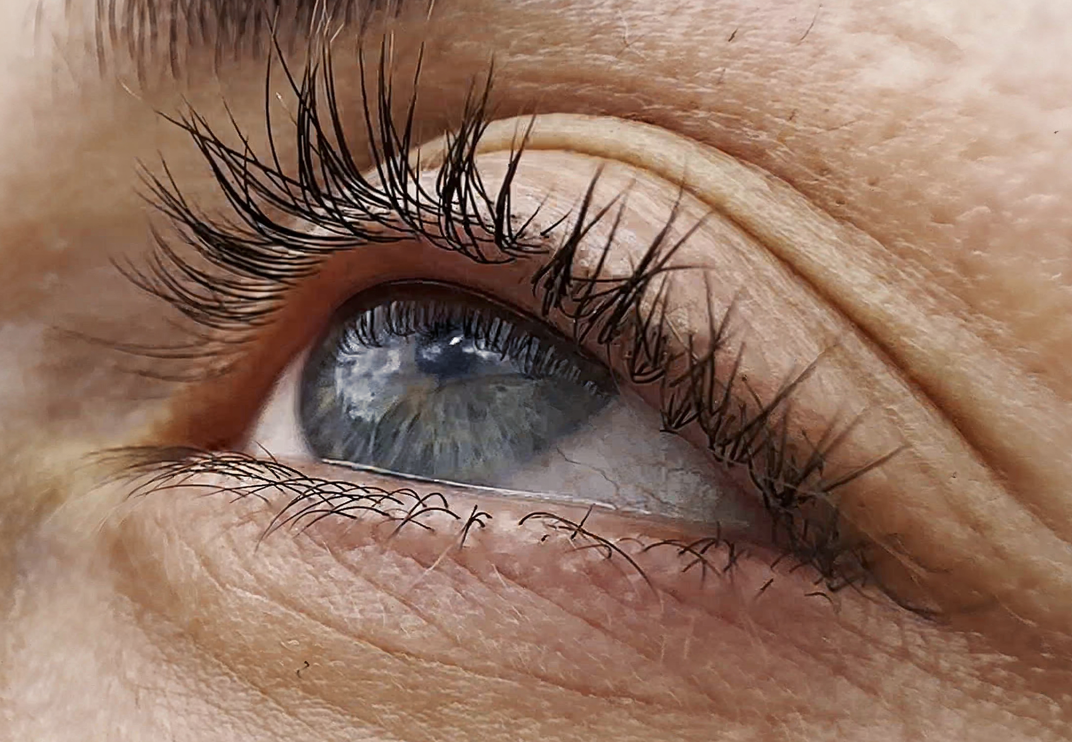 Researchers finally find an explanation of widespread illness: chronic ...
