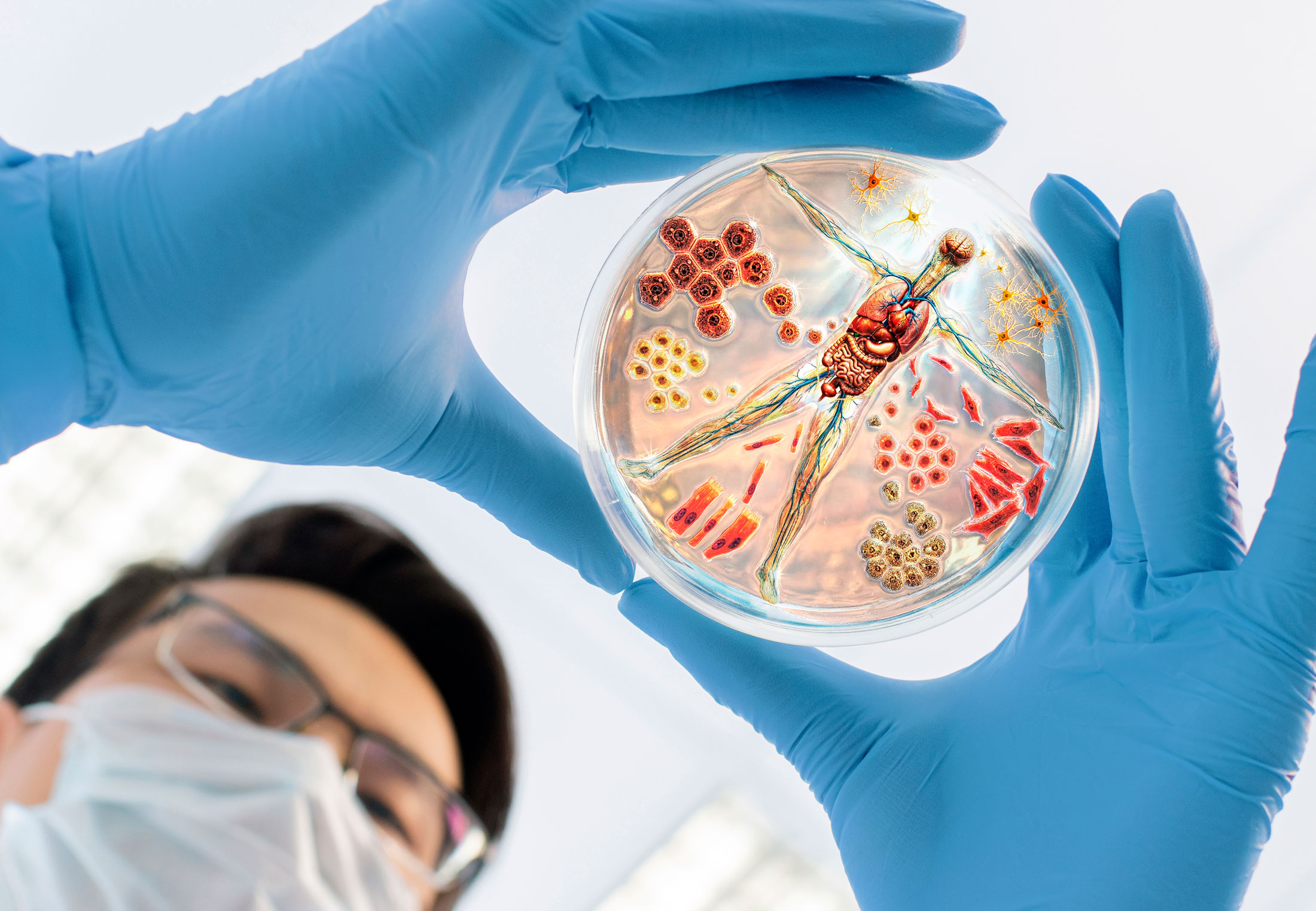 Forget mice, rats, and monkeys. Researchers have found a promising new ...