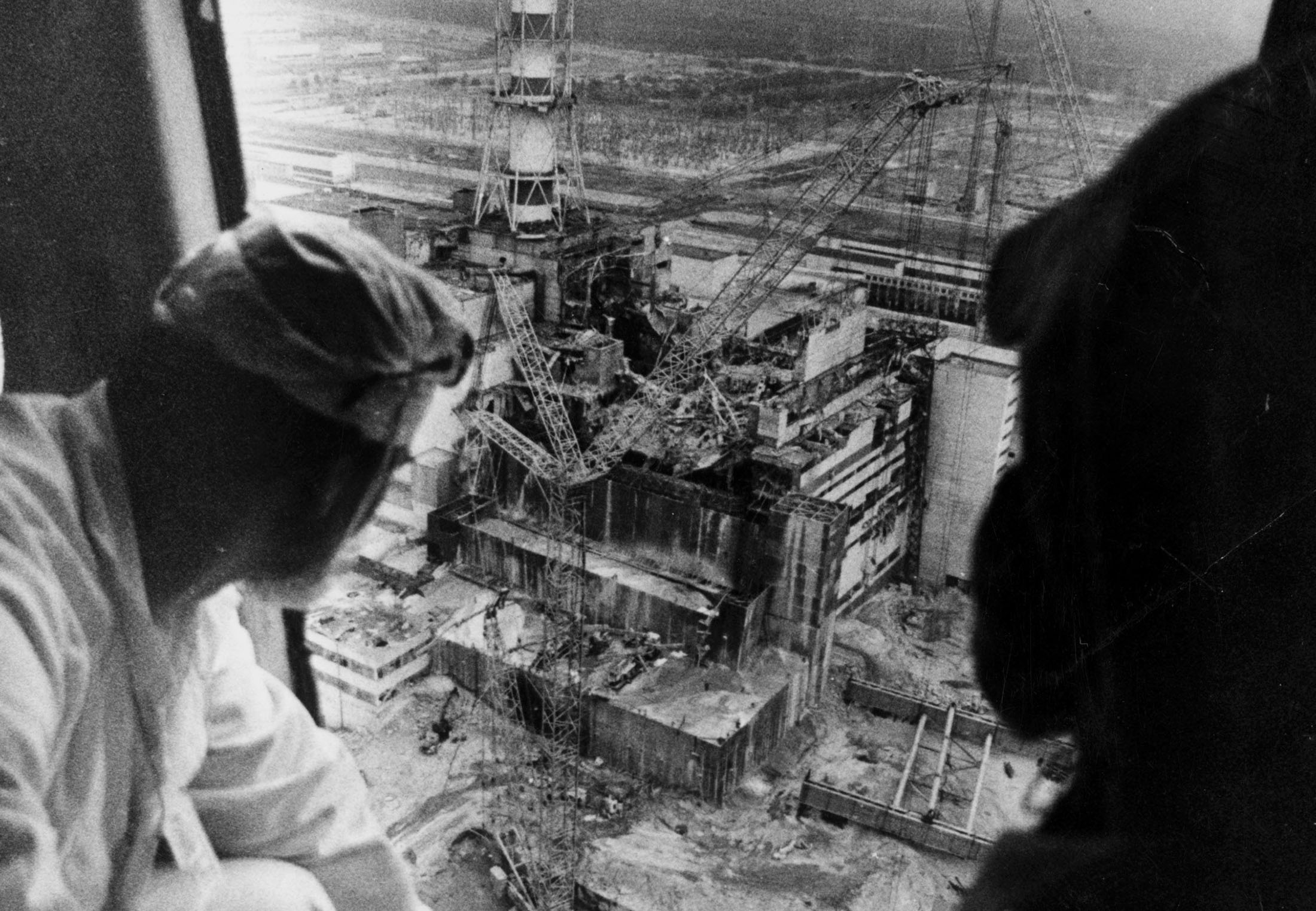 Er is ineens iets vreemds gebeurd met de dieren in Tsjernobyl – en ...