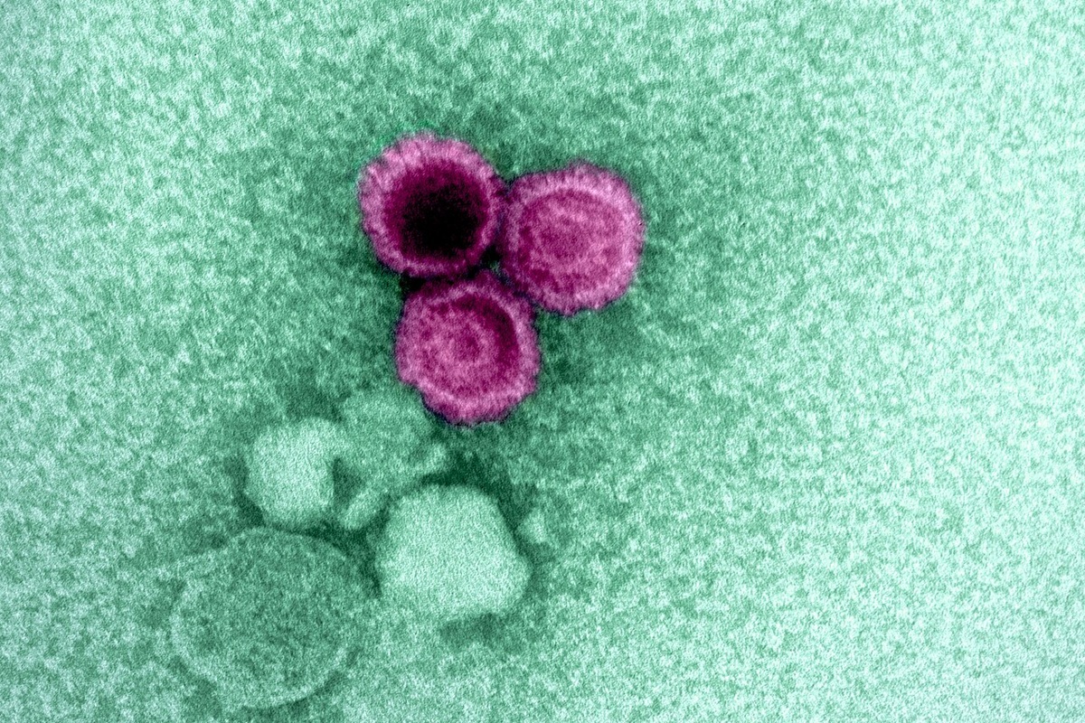Du kan bära runt på 4 procent neandertalar-dna – vilket kommer med en ...