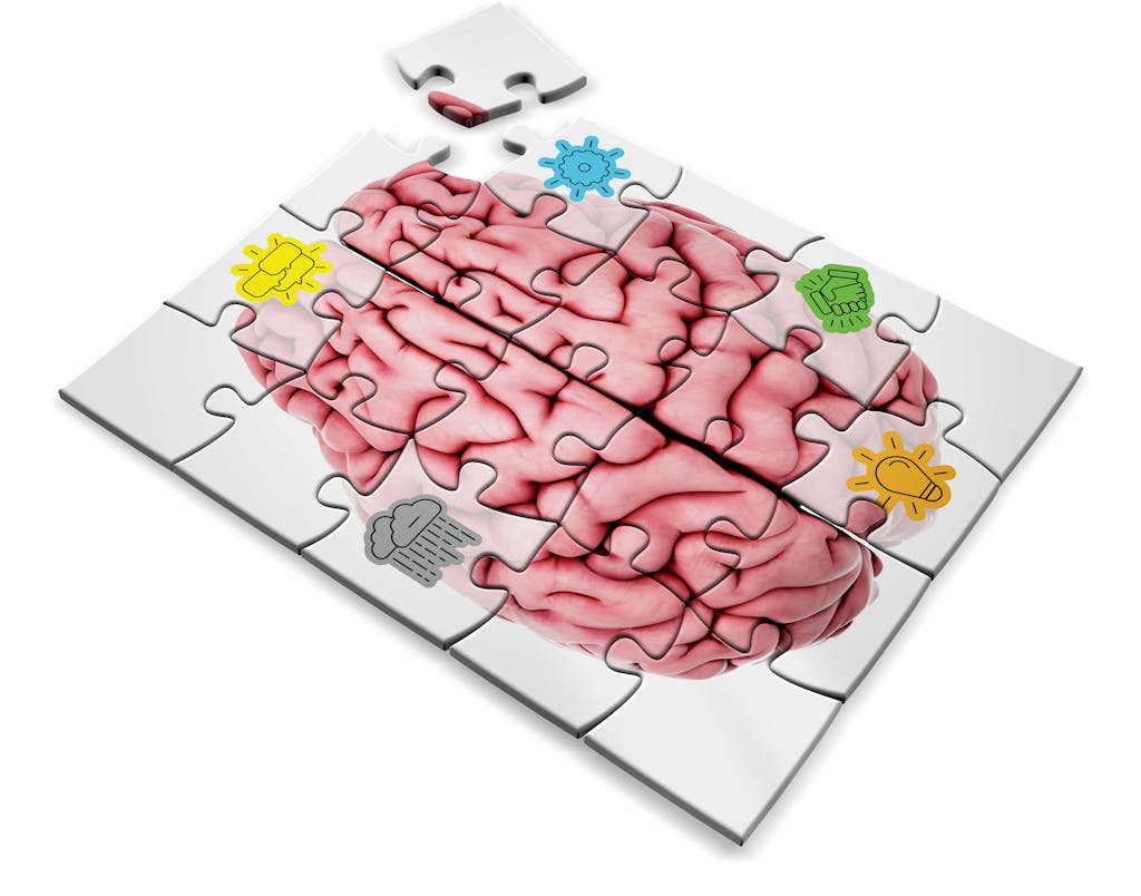 The brain is the core of human knowledge | scienceillustrated.com