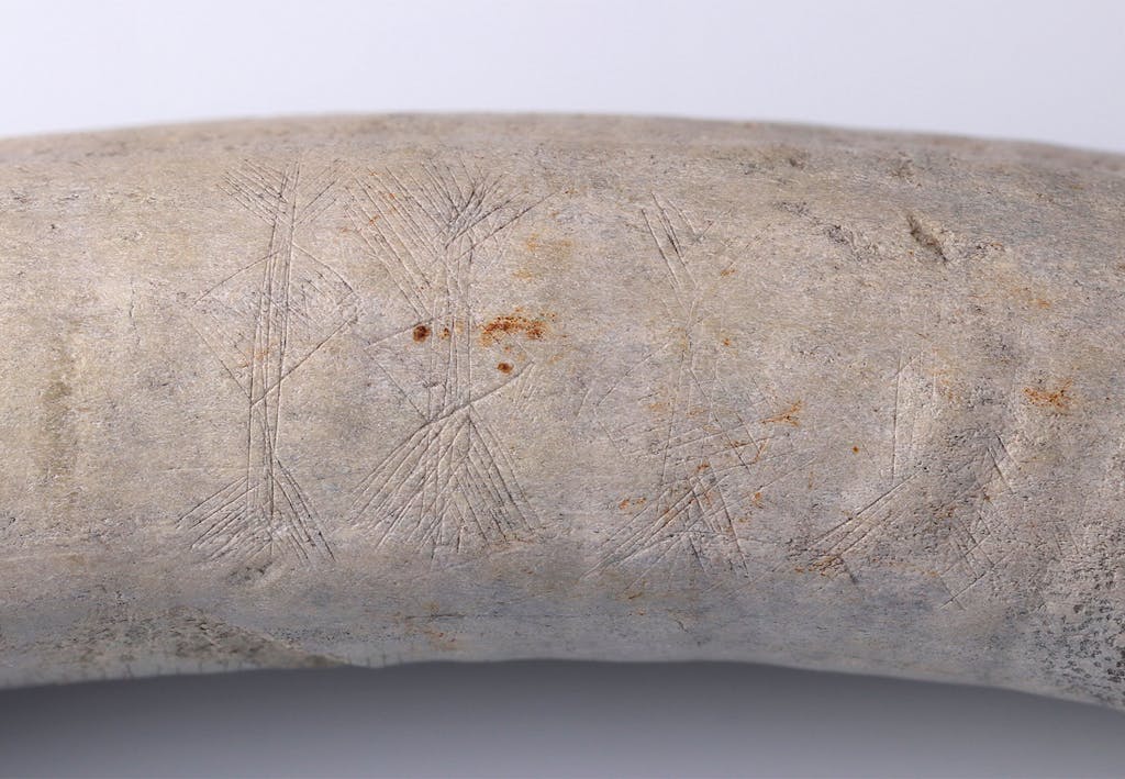 New discovery: woman kept 7,000-year-old axe in her living room ...