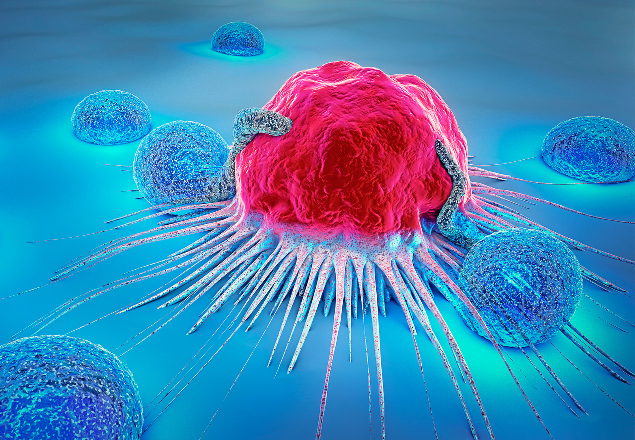 Fasting makes killer cells fight cancer | scienceillustrated.com