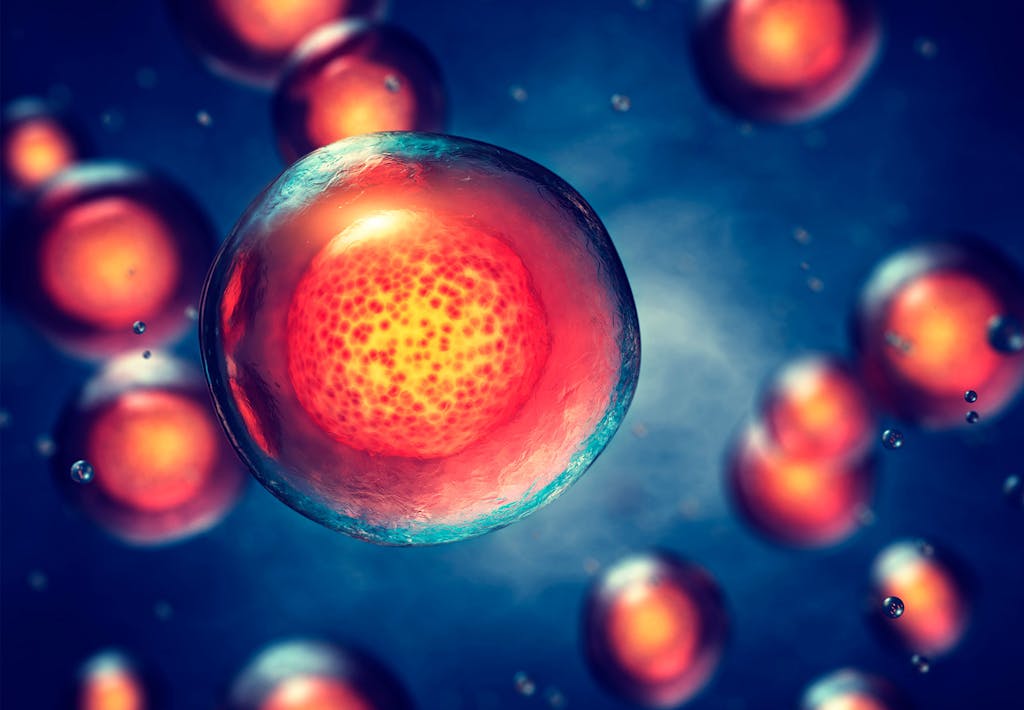 Science Illustrated - explore the world of science | scienceillustrated.com