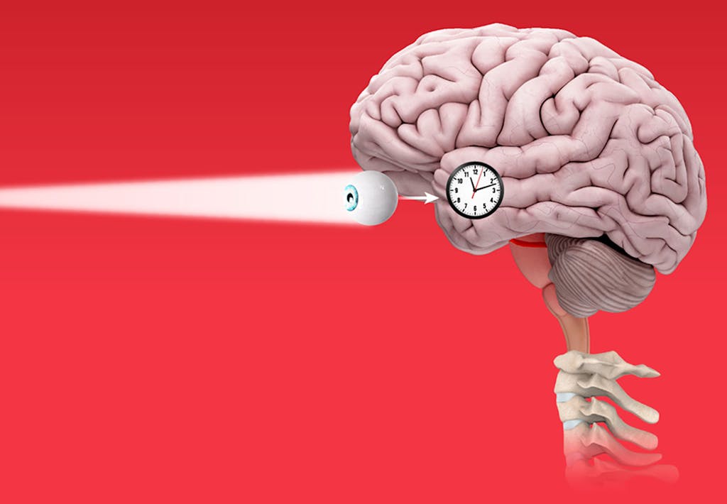 Winter fatigue - how to get through the dark season ...