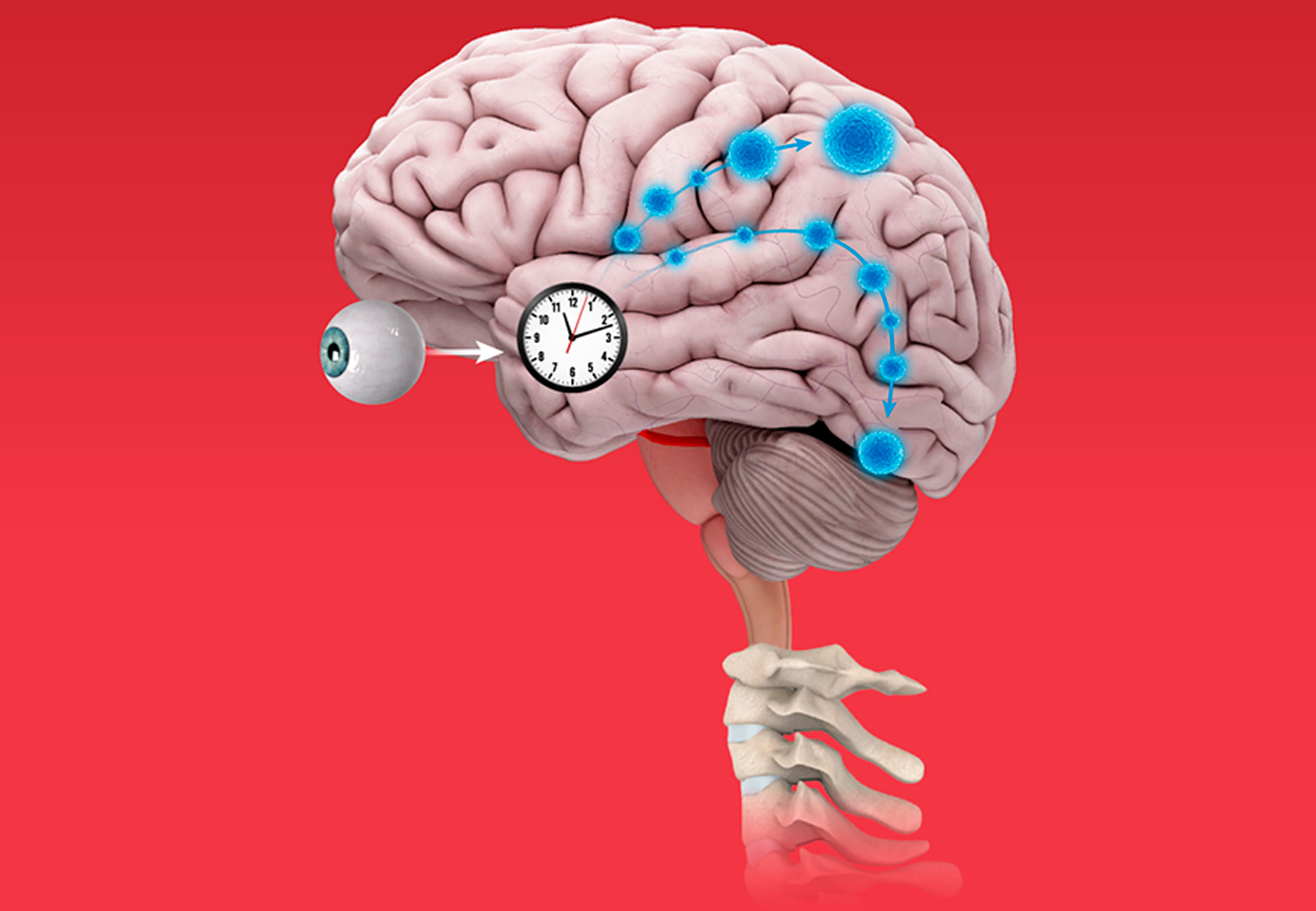 Winter fatigue - how to get through the dark season ...