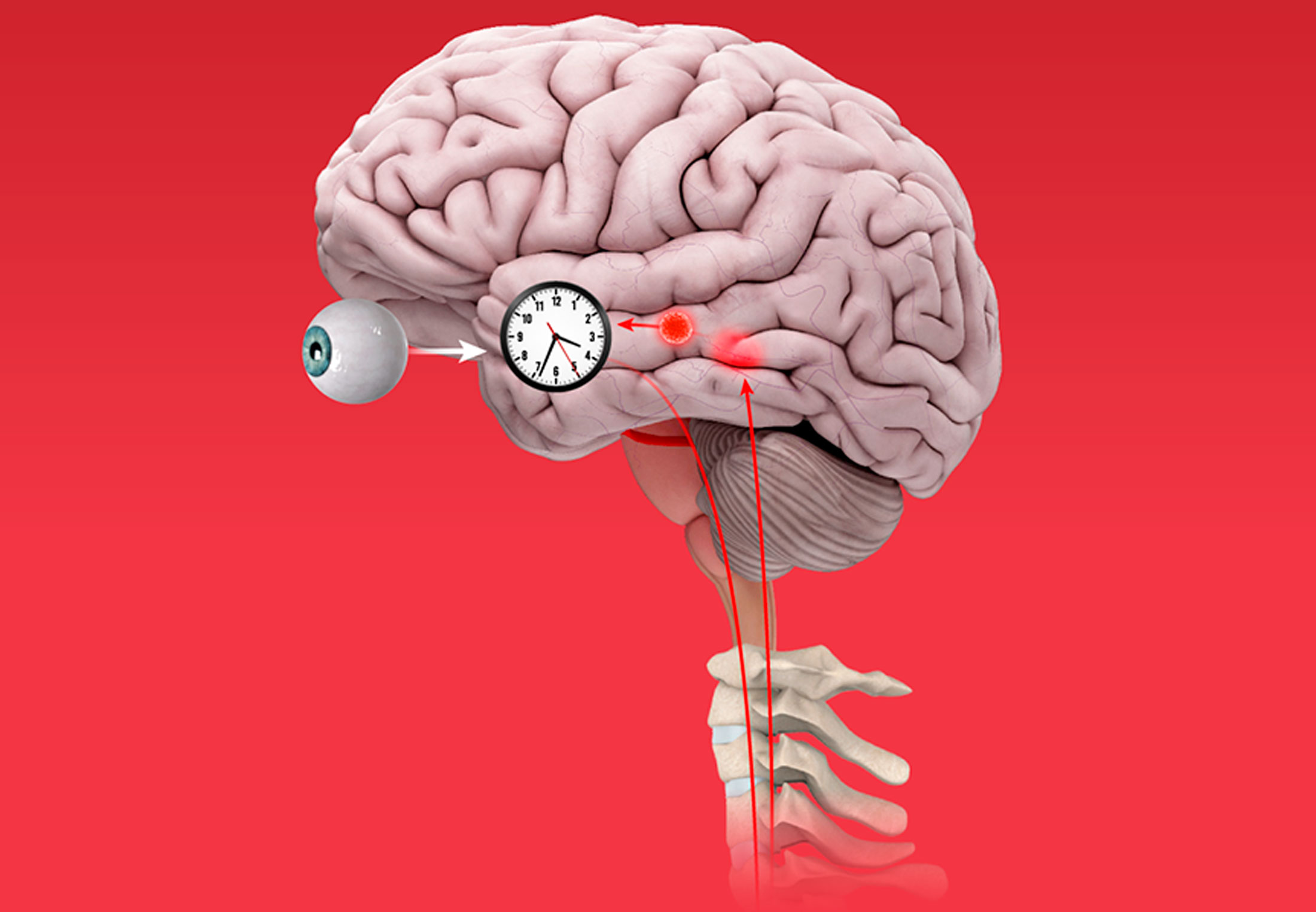 Winter fatigue - how to get through the dark season ...